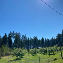 Finley Point State Park Camping | The Dyrt