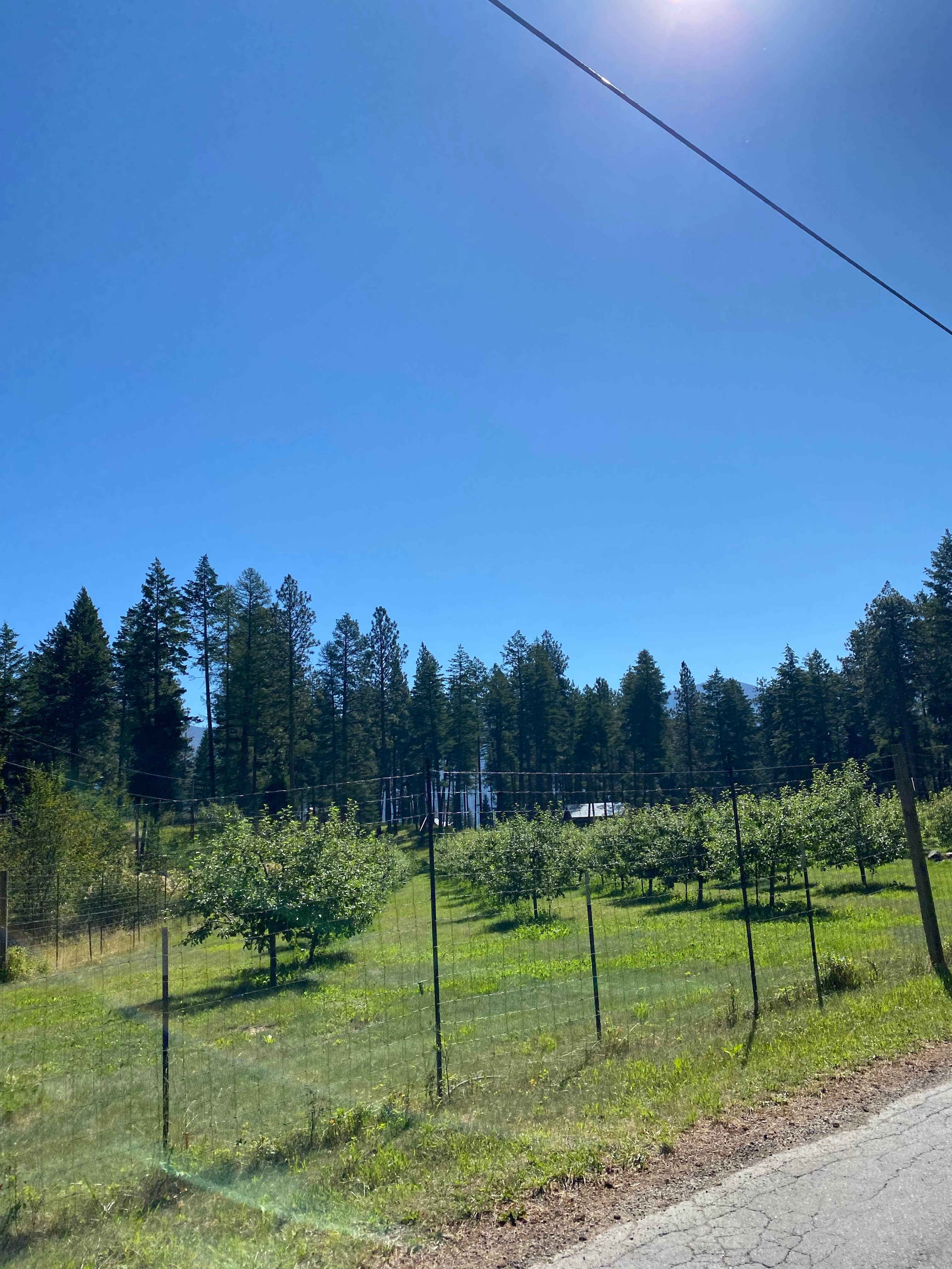 Finley Point Unit — Flathead Lake State Park Camping | Polson, MT