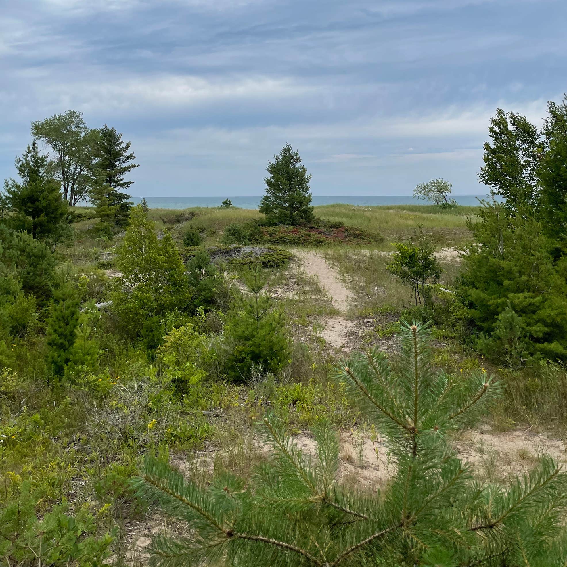 Point Beach State Forest Camping | The Dyrt