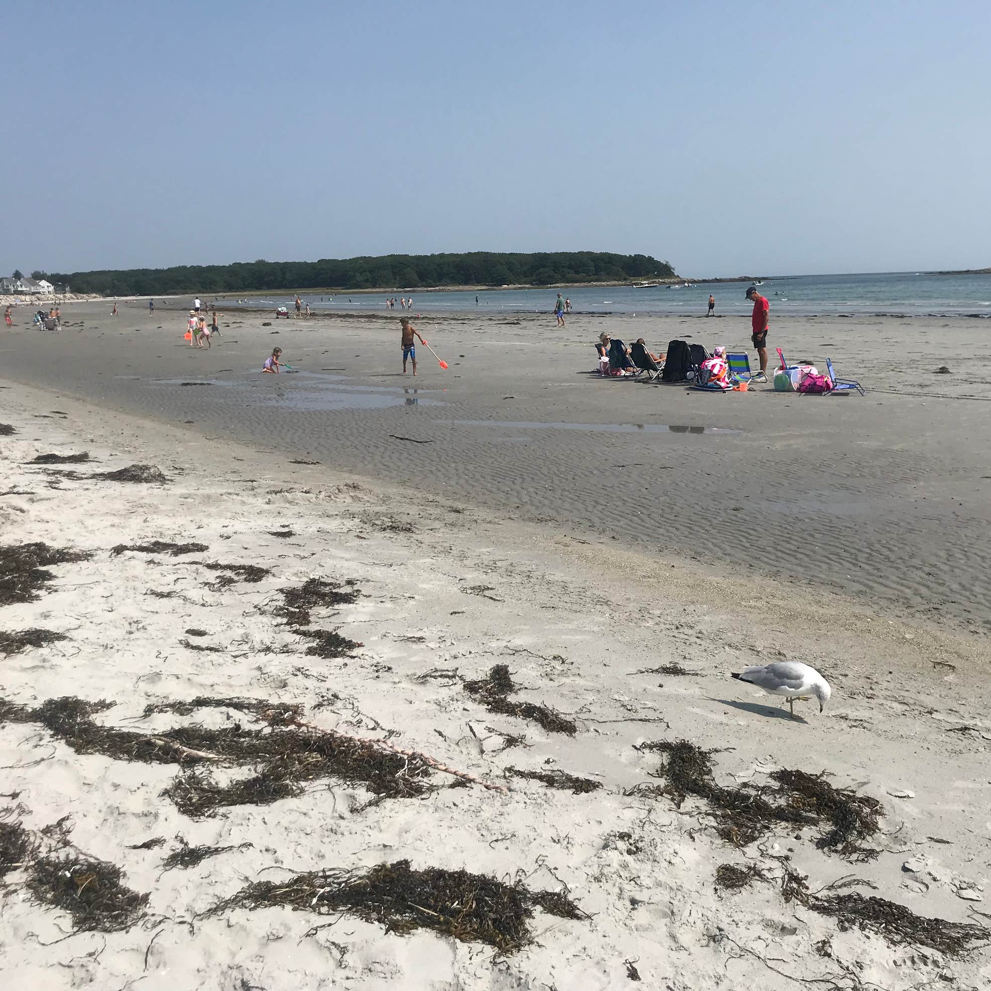 Sandy Pines Campground | Cape Porpoise, Maine
