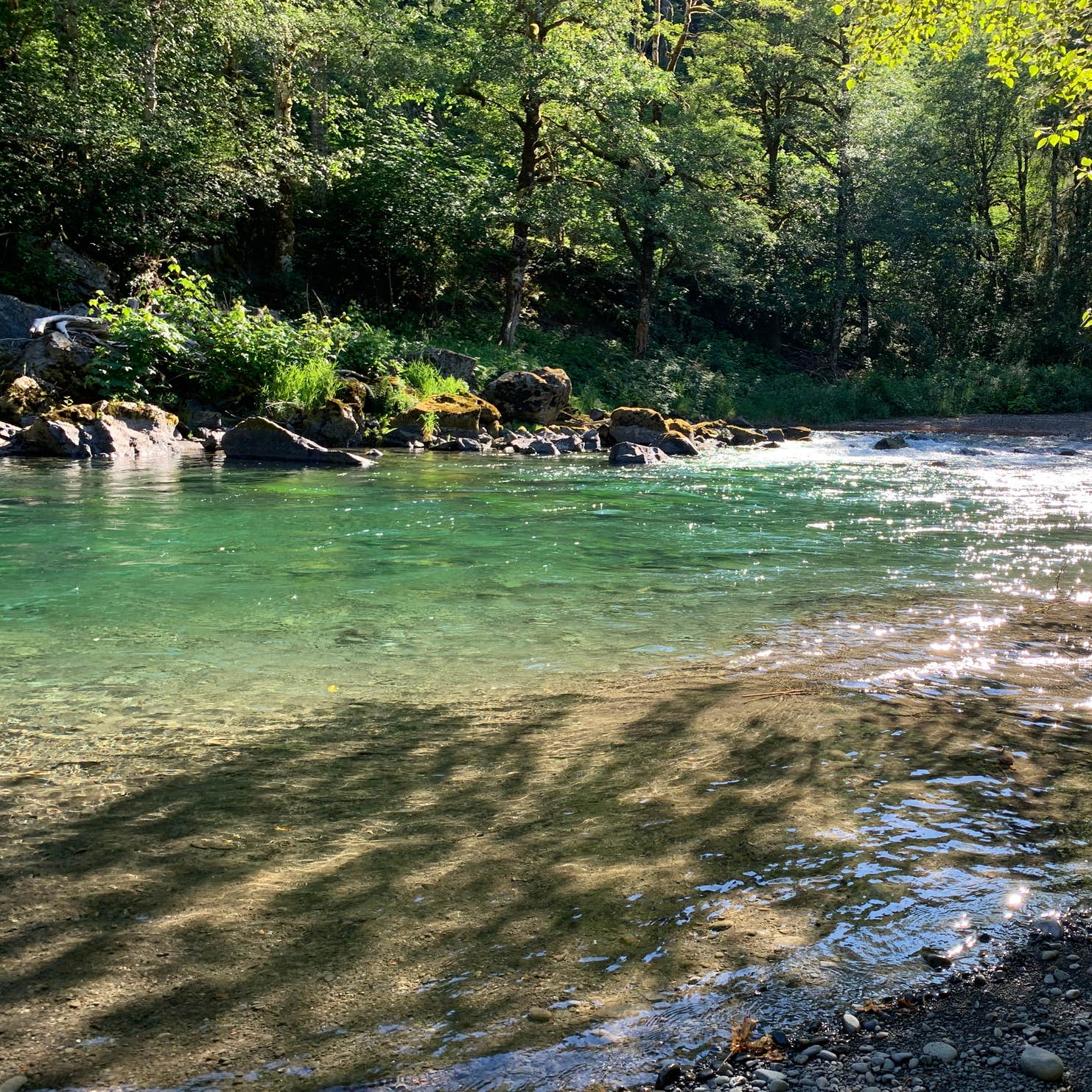 Klahowya Campground | Beaver, WA