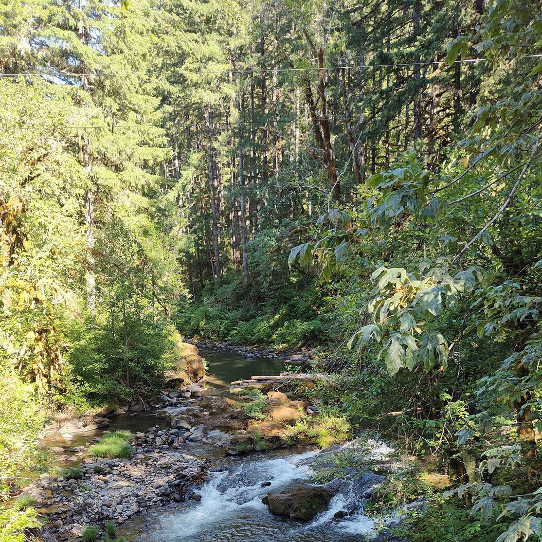Rujada Campground | Dorena, Oregon