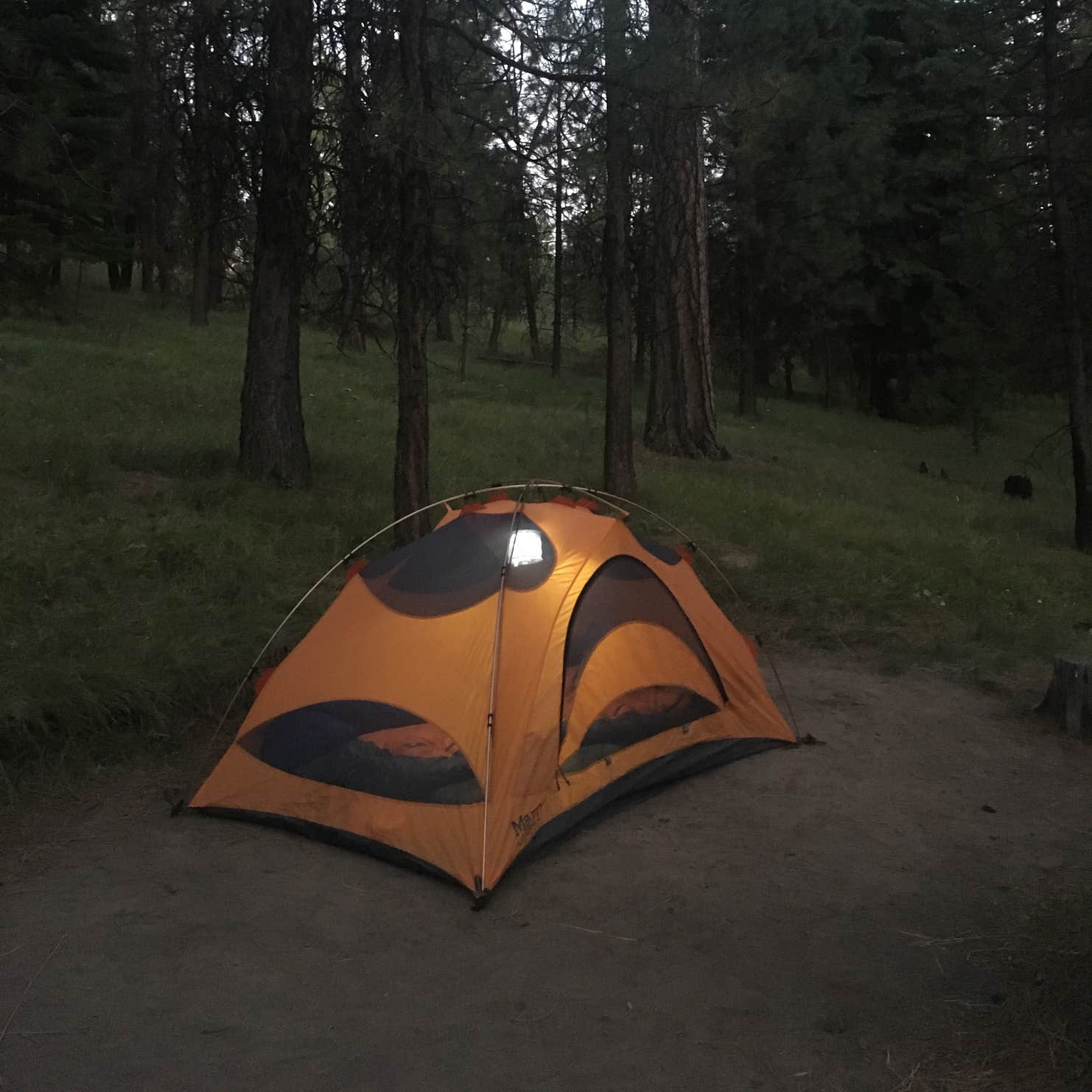 Ochoco Forest Camp | Mitchell, Oregon