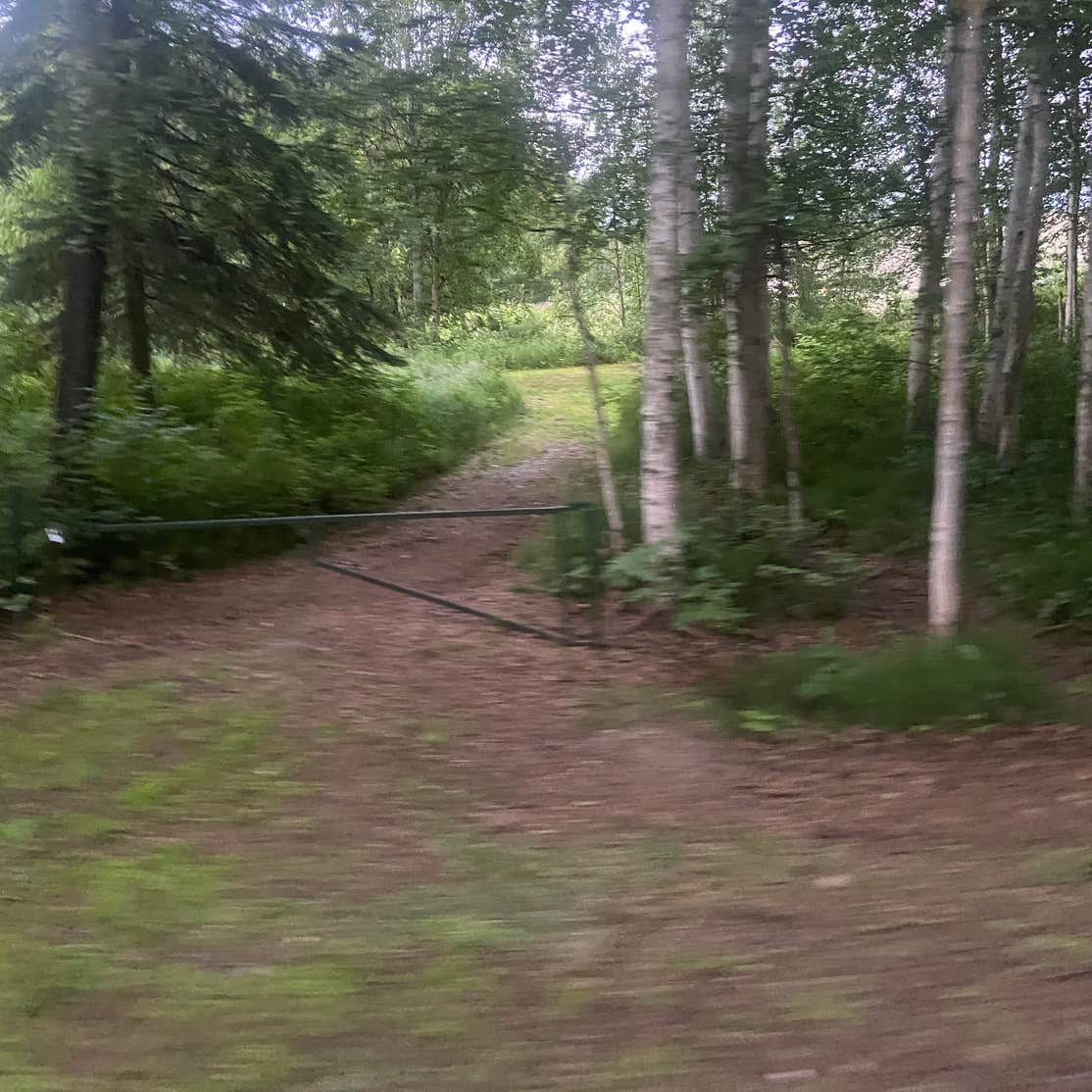 Chena Lake Recreation Area Camping | North Pole, AK