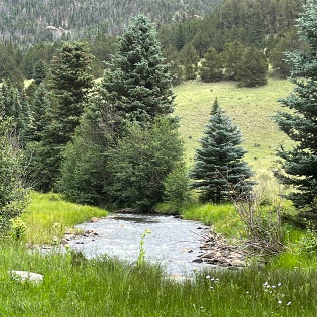 Rio Costilla Park Camping | Costilla, NM