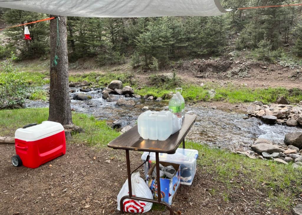 Rio Costilla Park Camping | The Dyrt