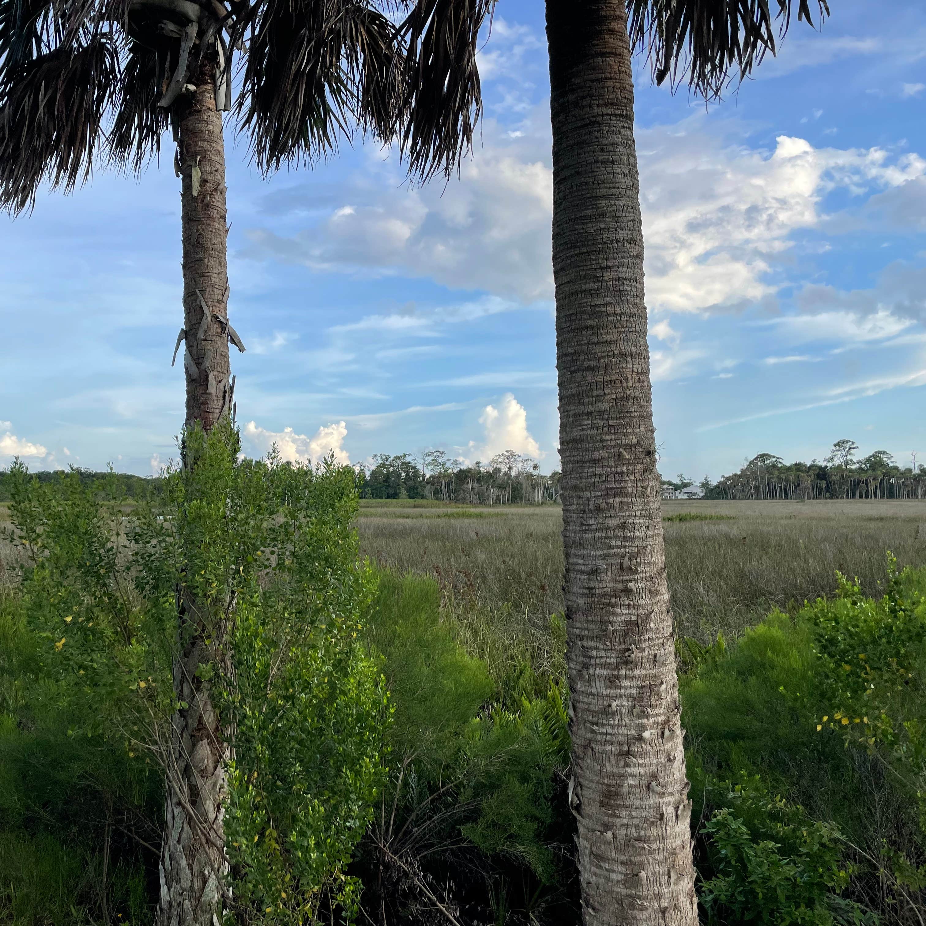 Mary’s Fish Camp | Weeki Wachee, Florida