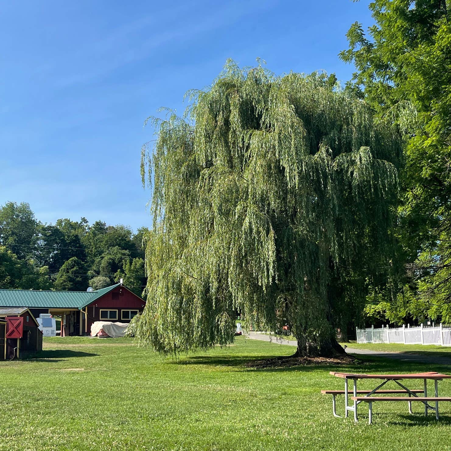 Great Divide Campground | Andover, New Jersey
