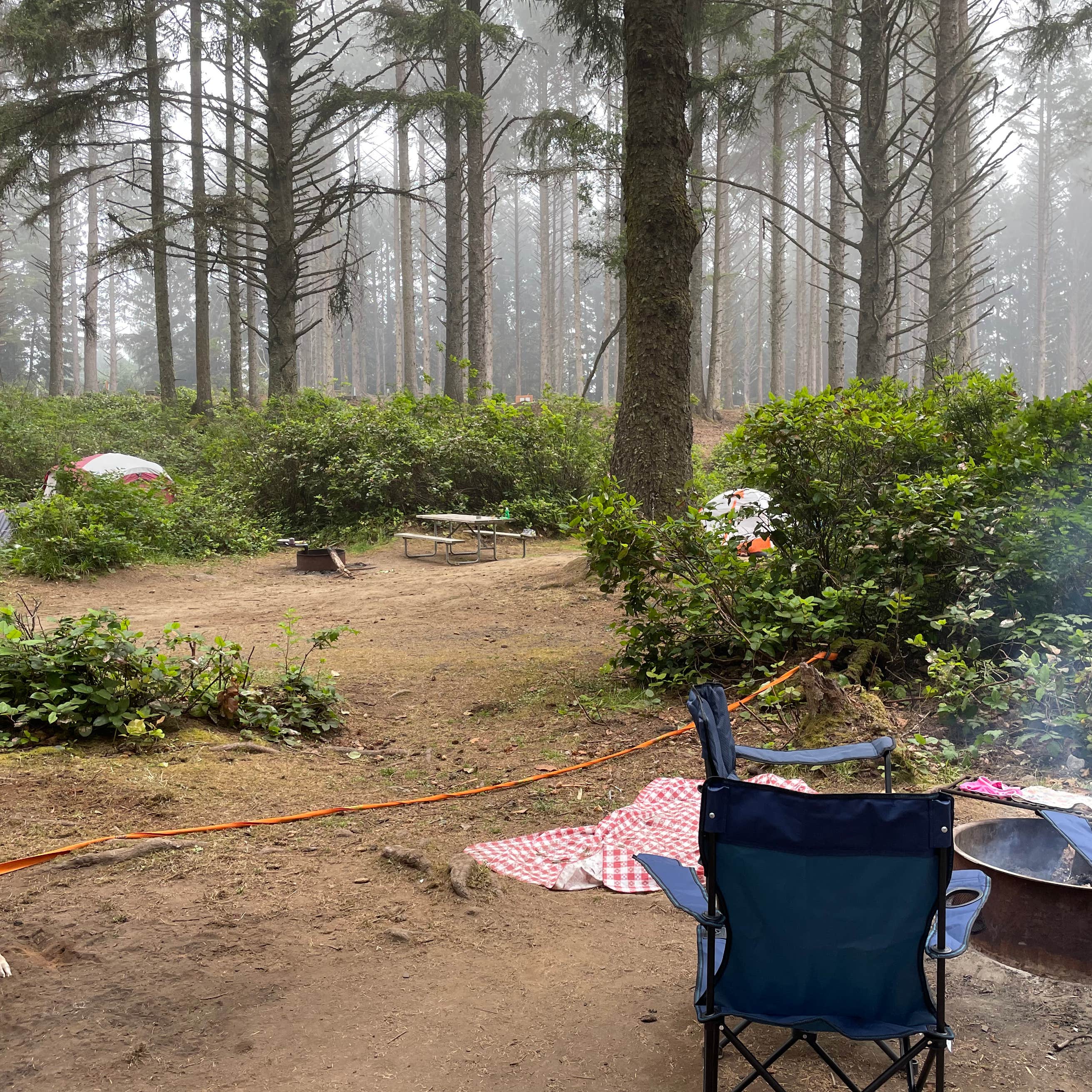 Bastendorff Beach Park Camping | Coos Bay, Oregon