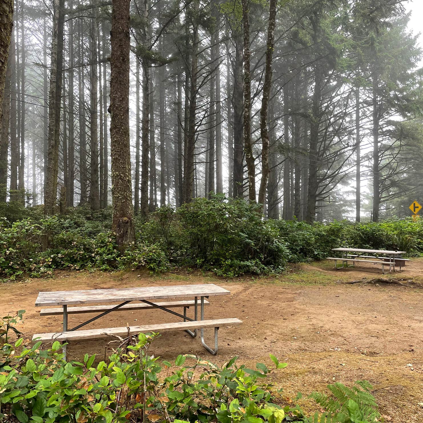 Bastendorff Beach Park Camping | Coos Bay, Oregon