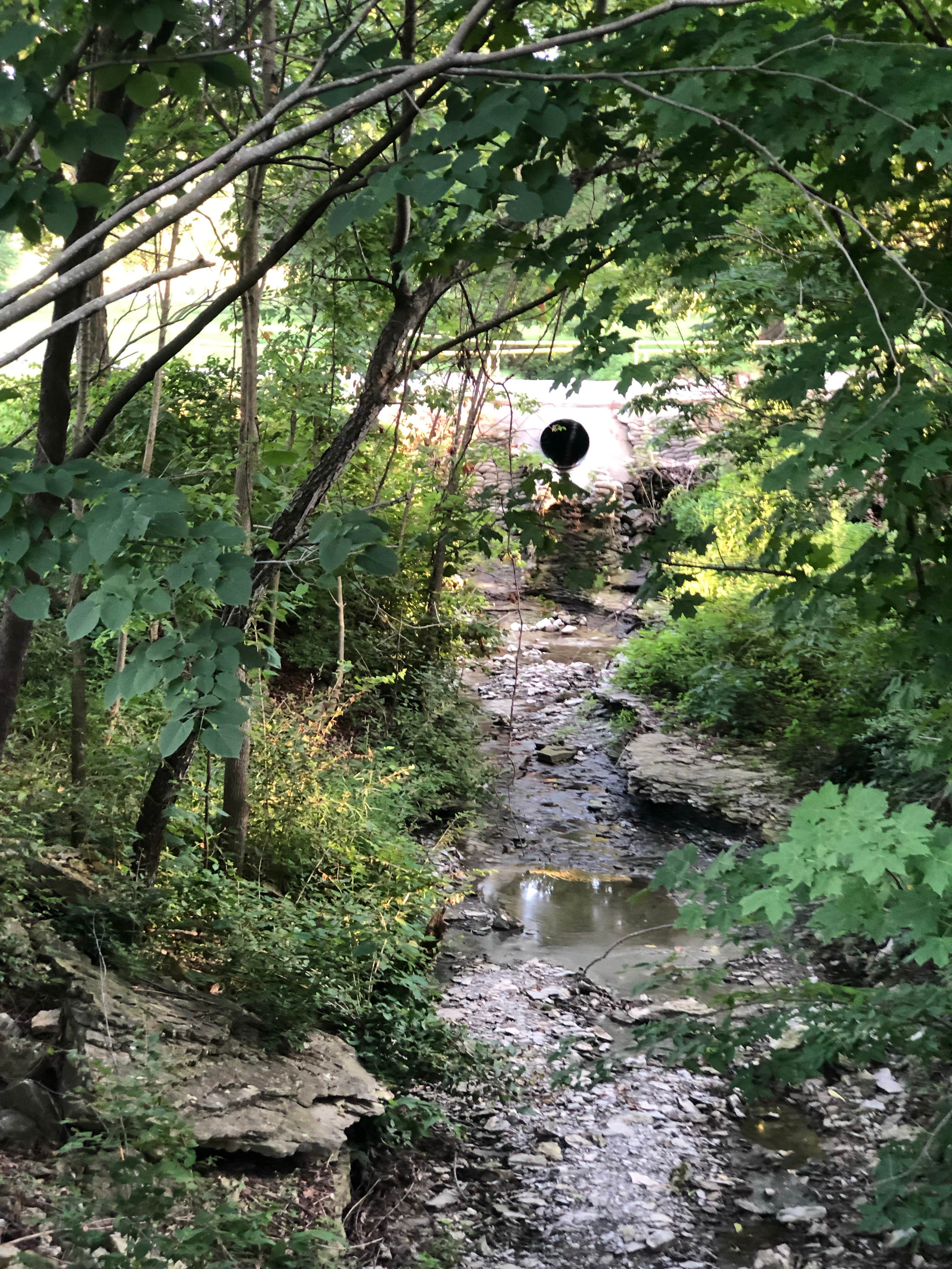 Wildcat Springs Park Camping | Hamilton, IL