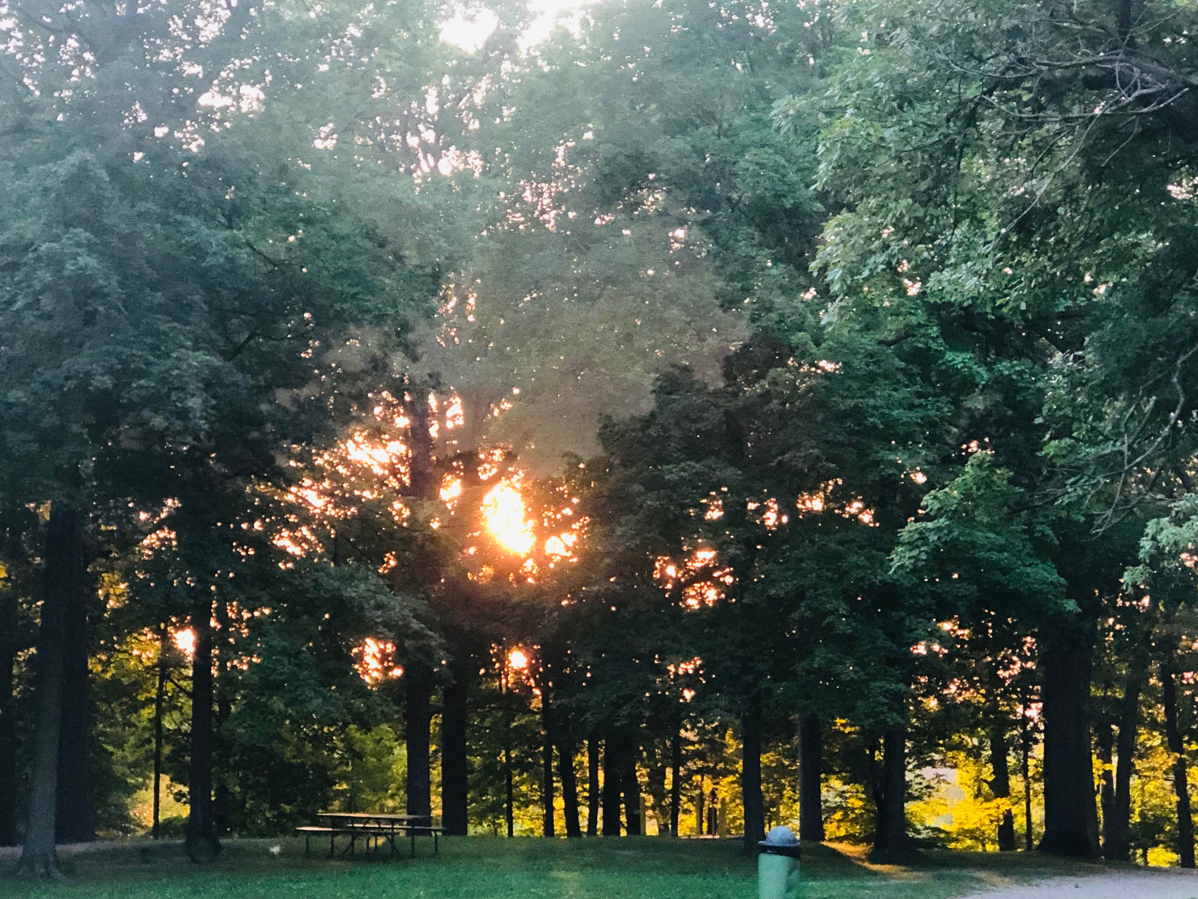 Wildcat Springs Park Camping | Hamilton, IL