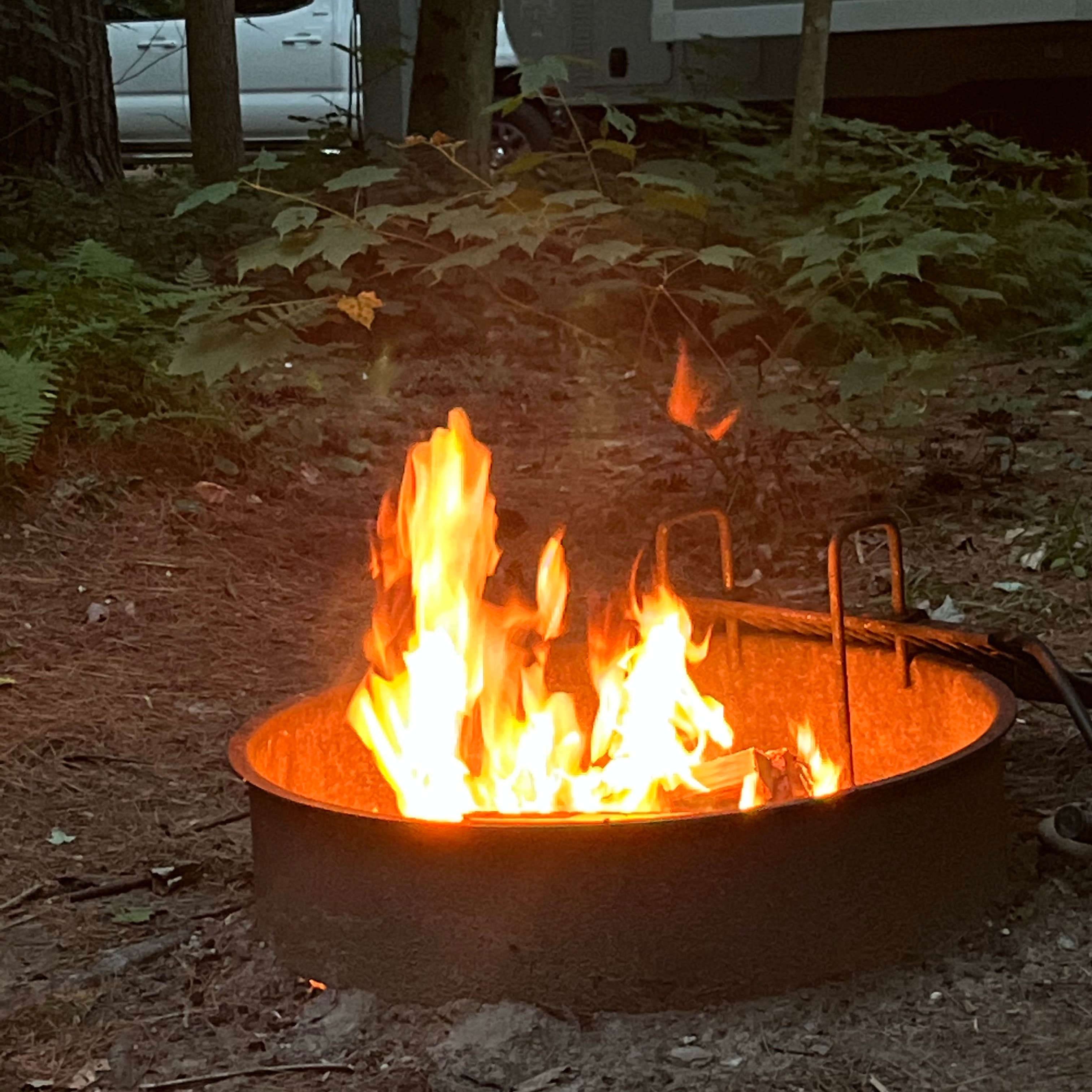 Tree Farm Campground | Springfield, Vermont