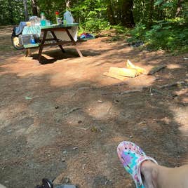 Tree Farm Campground Camping | The Dyrt