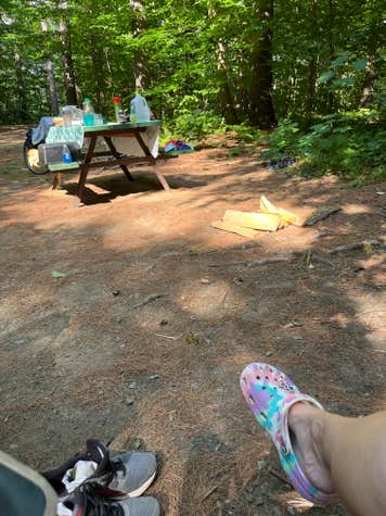 Tree Farm Campground Camping | The Dyrt