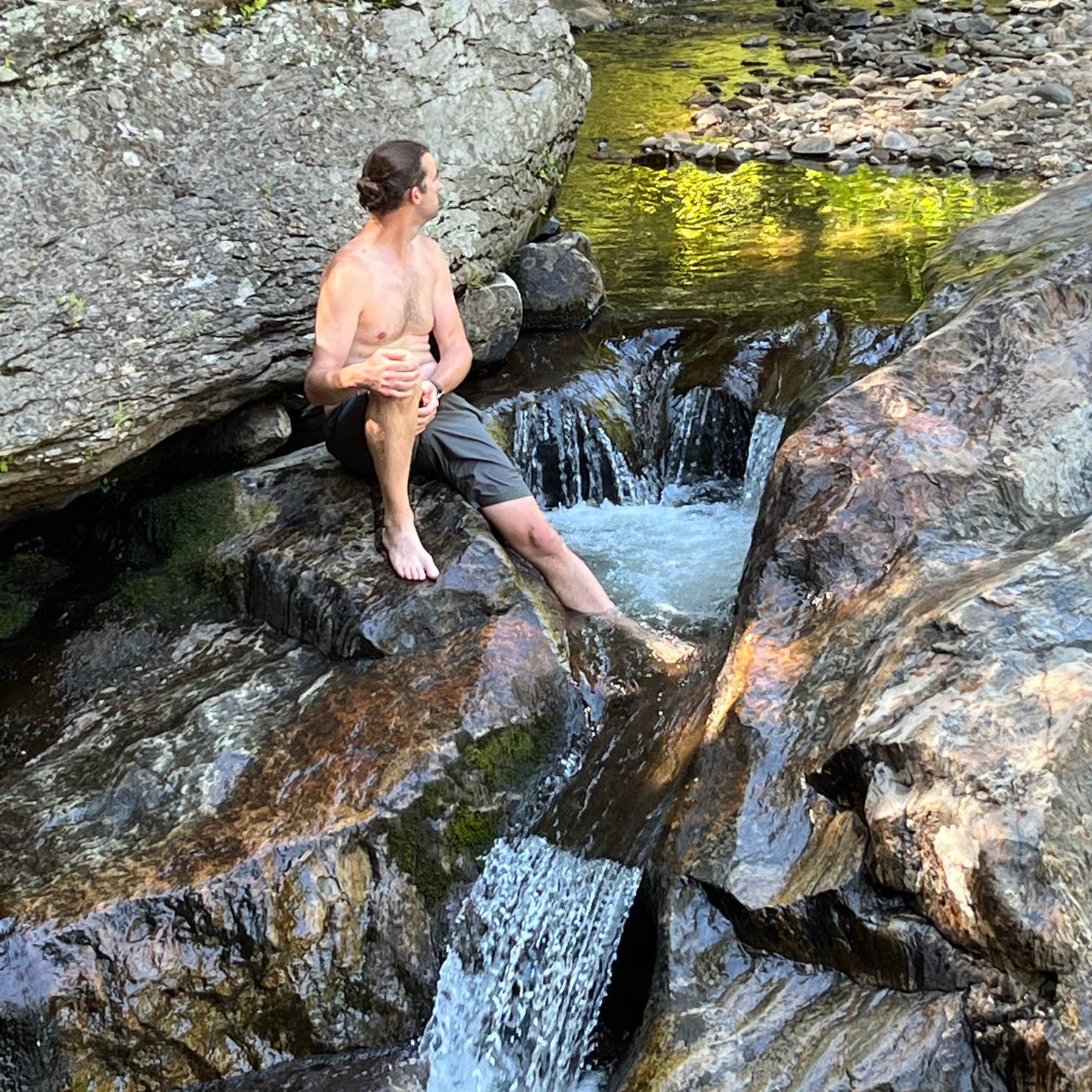 Tree Farm Campground | Springfield, Vermont
