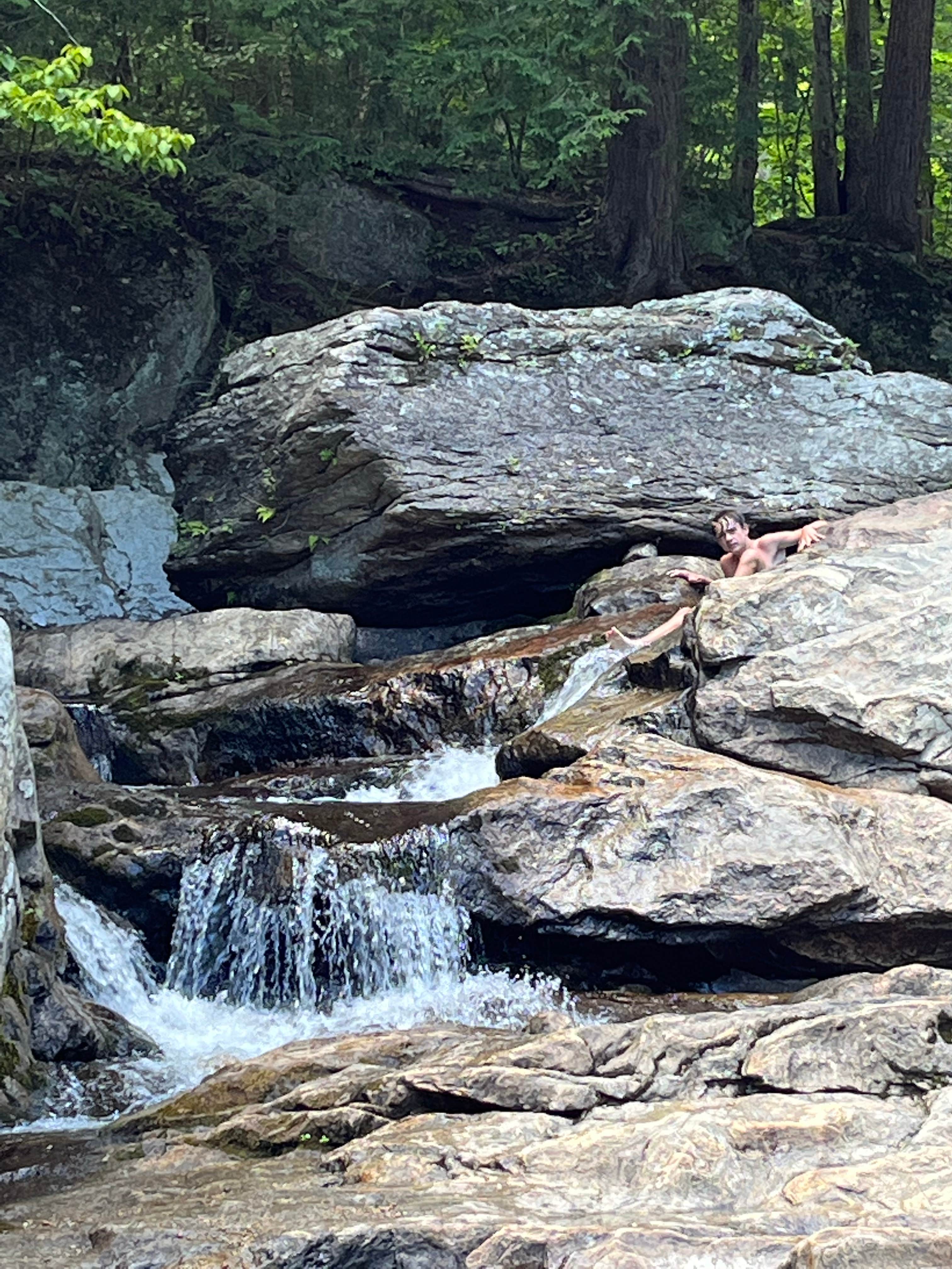 Tree Farm Campground | Springfield, VT