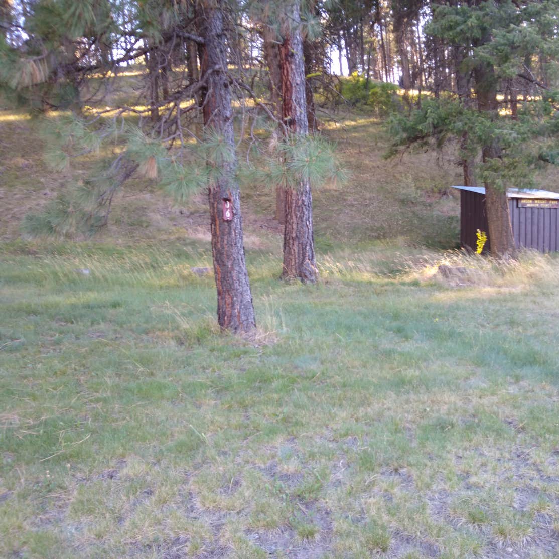 Anson Wright Memorial Park Camping | The Dyrt