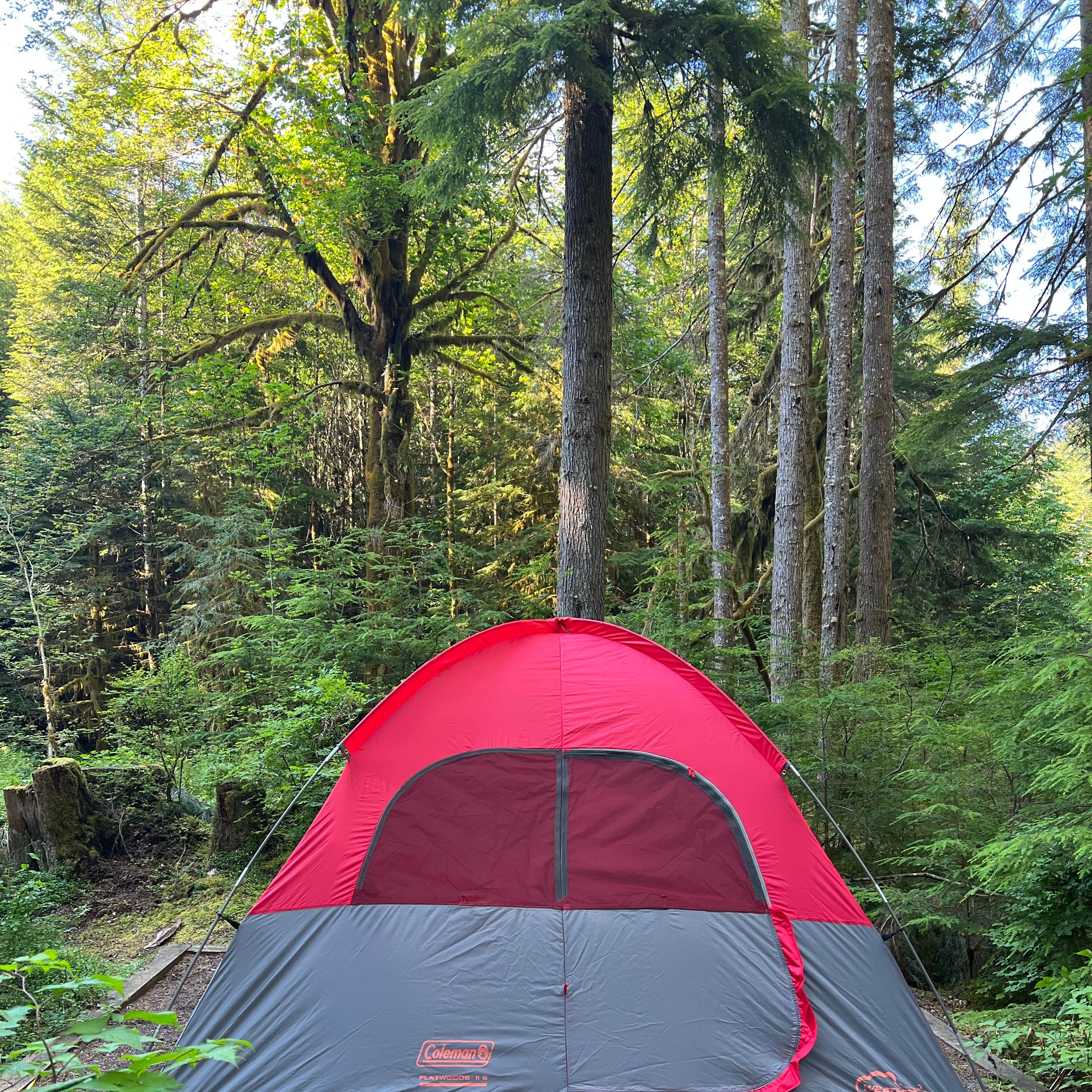 Middle Fork Campground | North Bend, WA