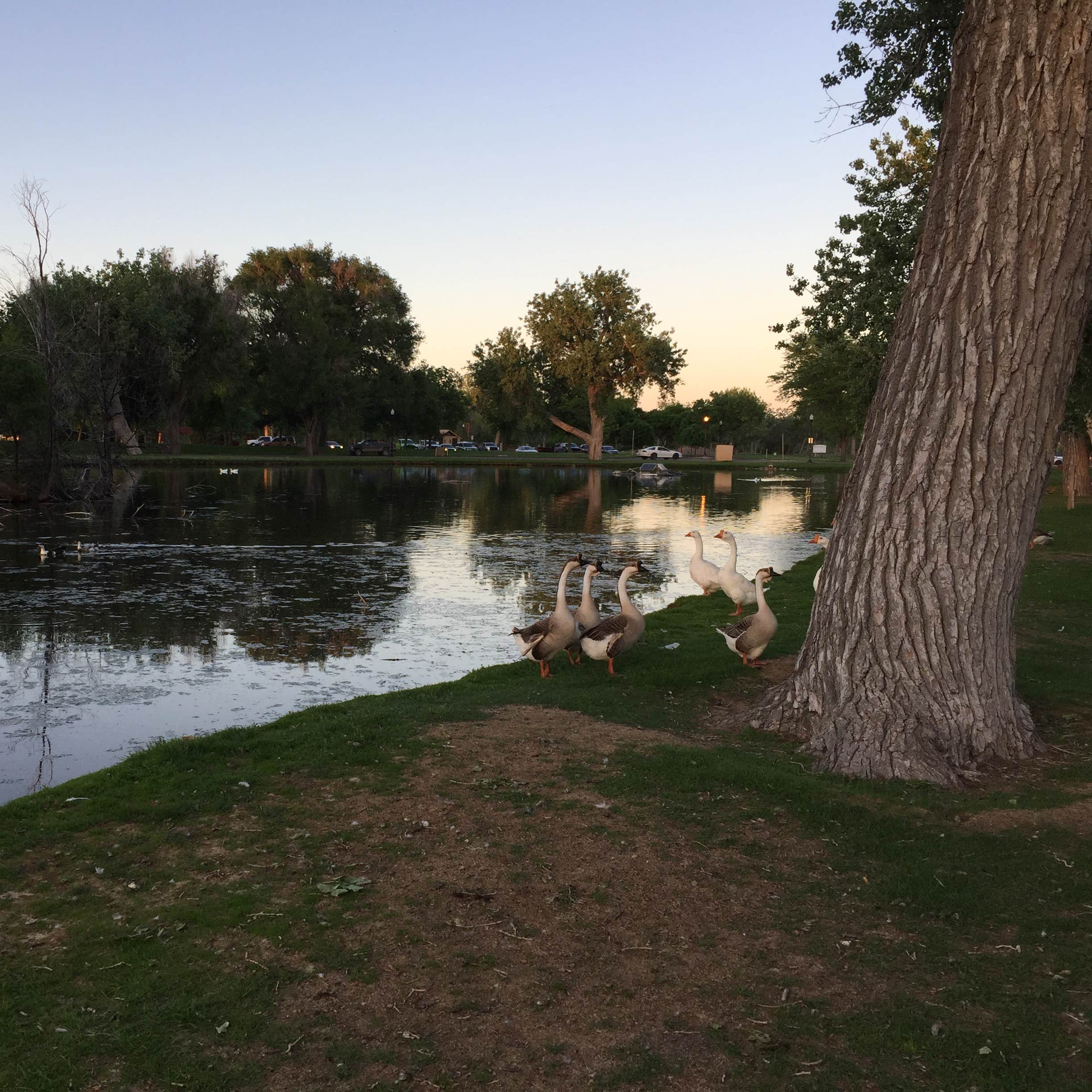 Riverside Park Campground | Fort Morgan, Colorado