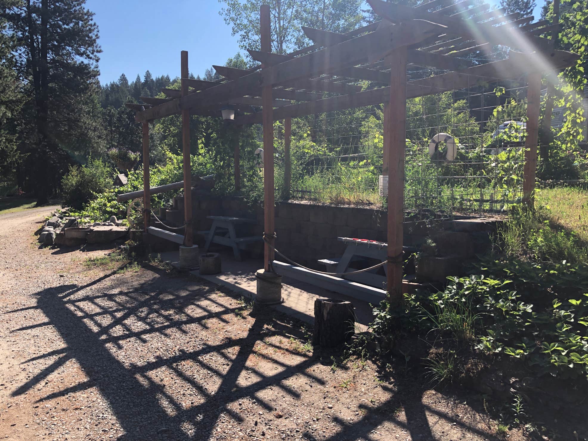 Blue Lake RV Resort Camping | The Dyrt