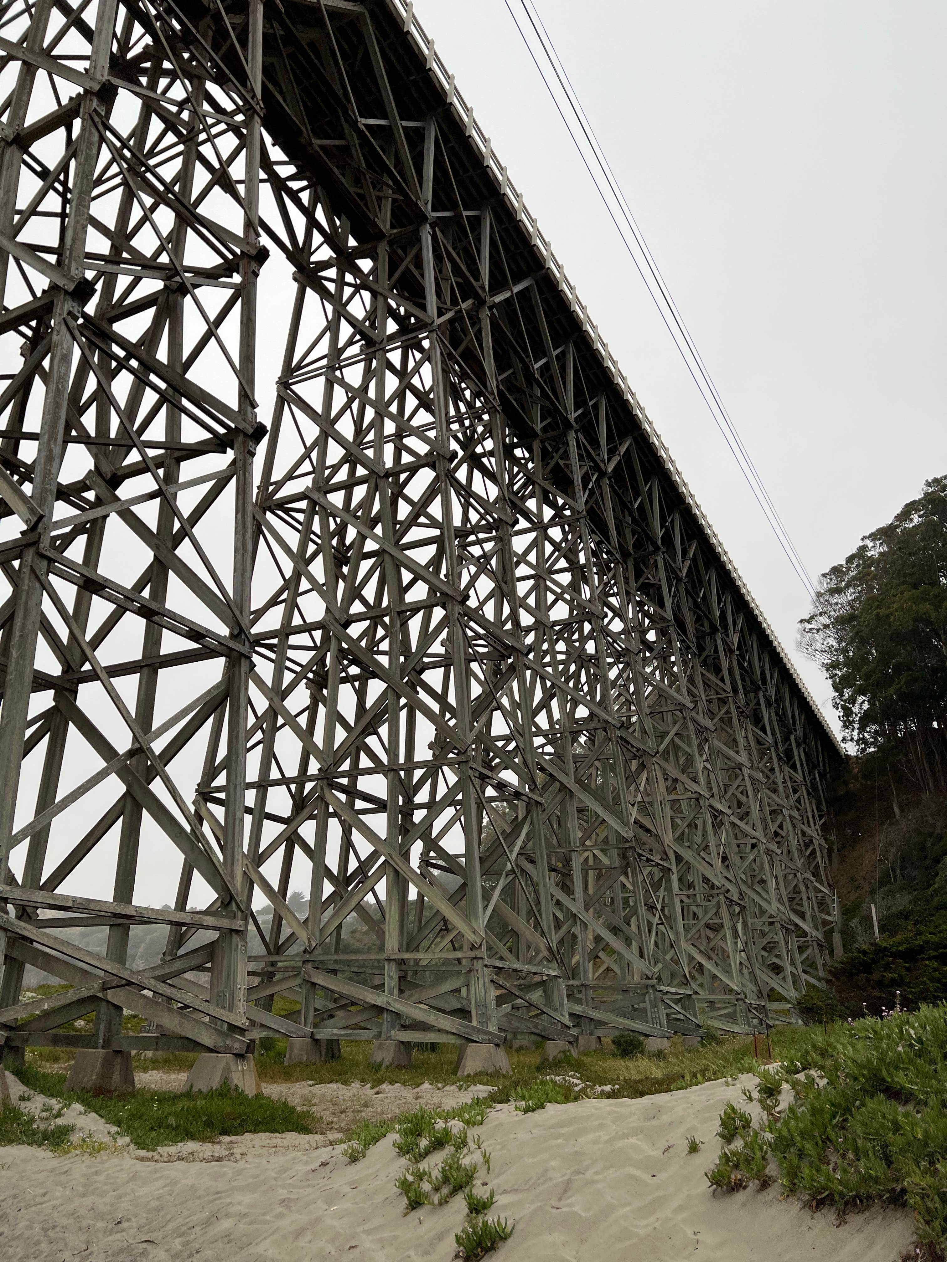 Albion River Campground | Albion, California