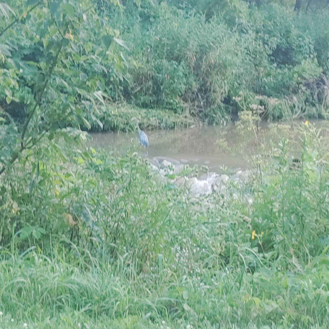 Creekside Equestrian Campground — Yellow River State Forest ...