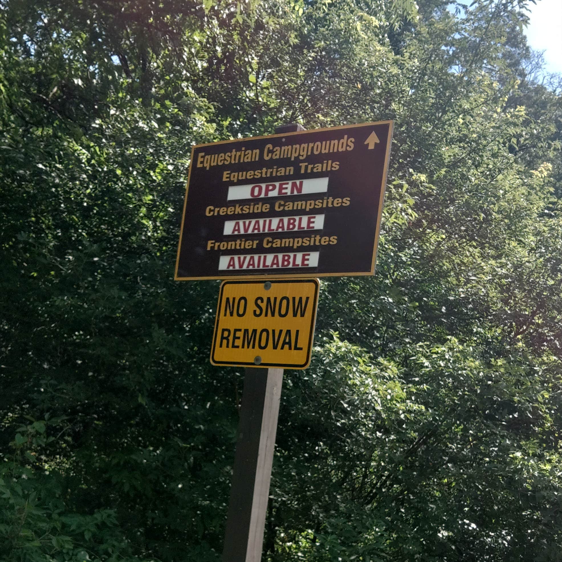 Frontier Equestrian Campground — Yellow River State Forest | Waterville ...