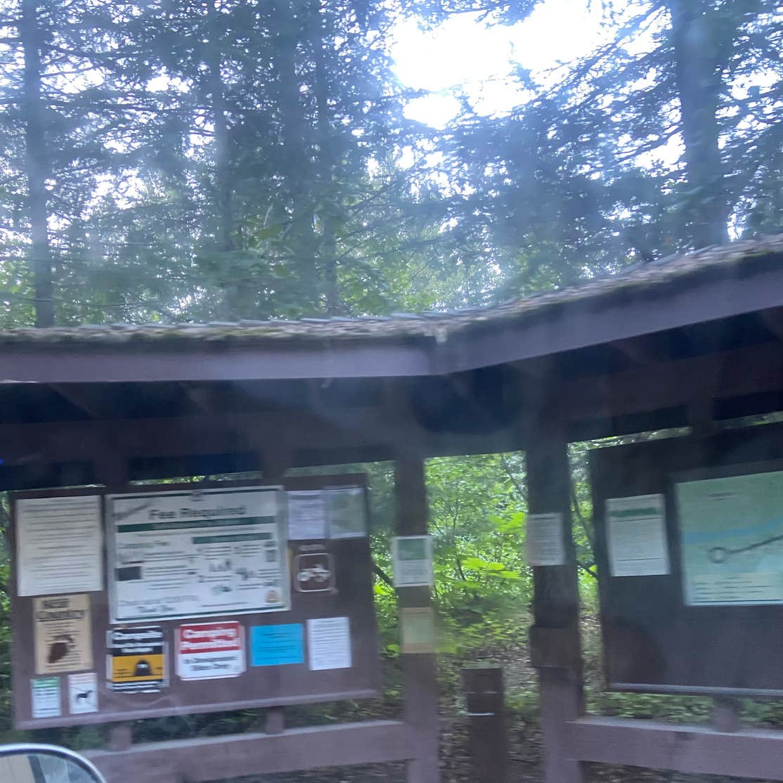 Primrose Trailhead Camping | Seward, AK
