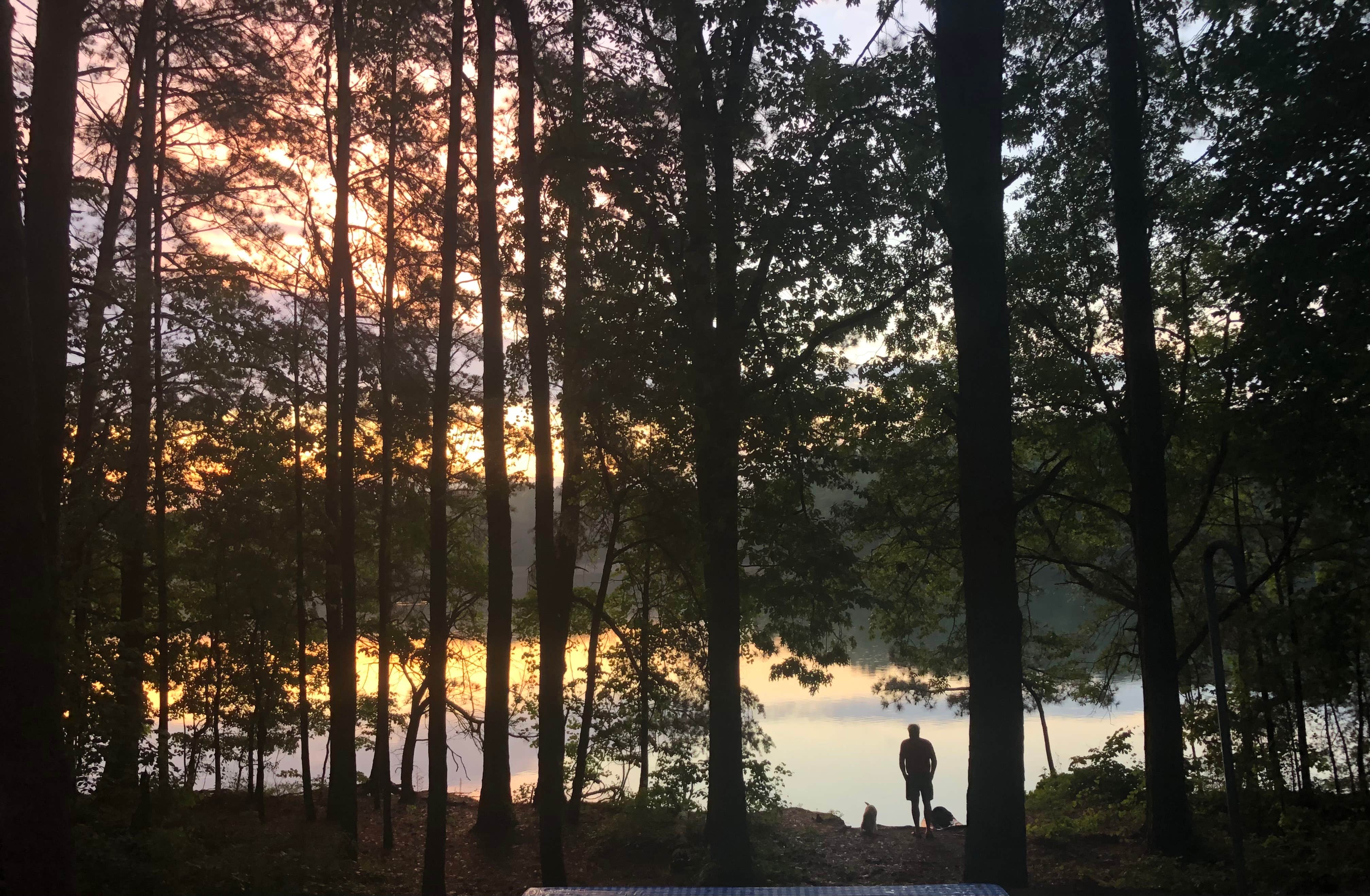 Bald Ridge Creek Camping | The Dyrt