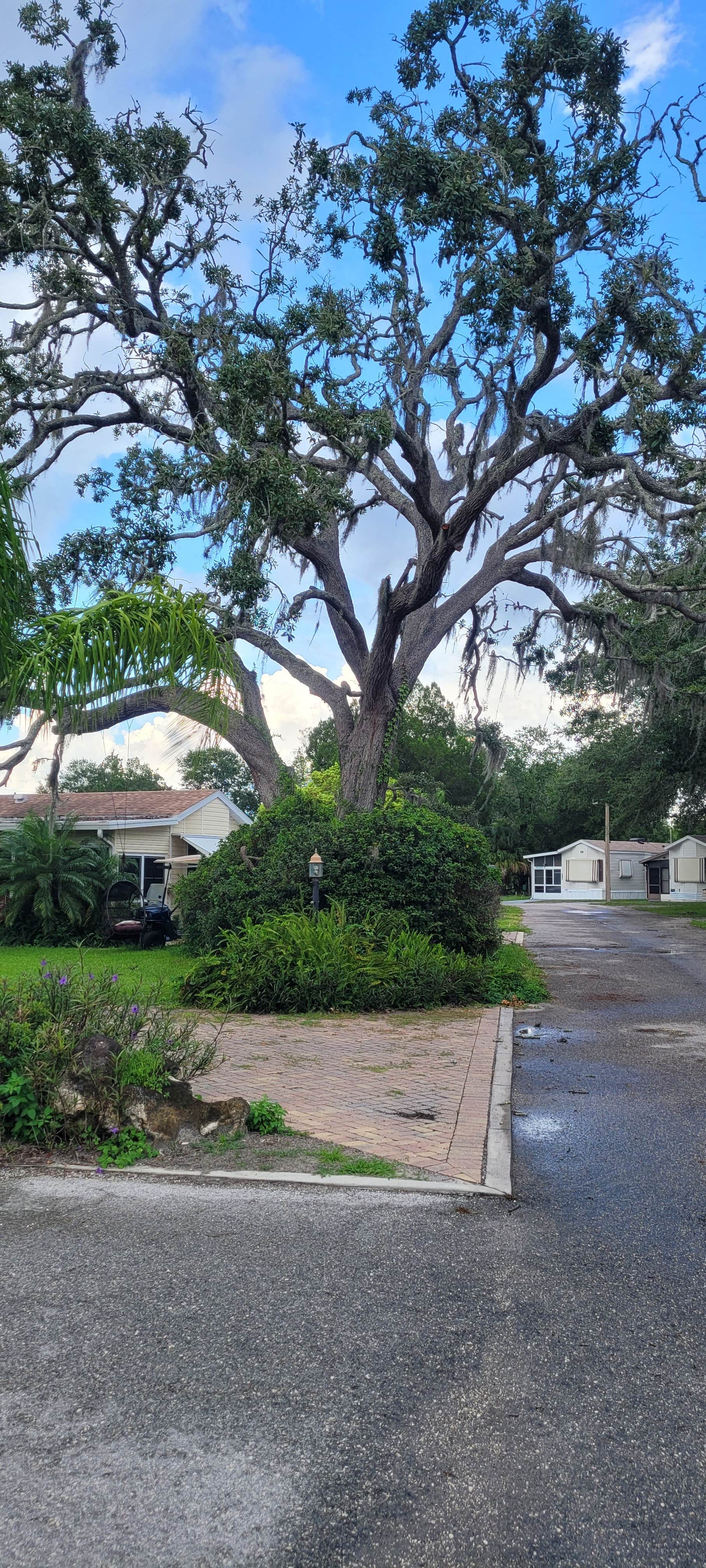 Seven Springs Travel Park Camping | New Port Richey, FL