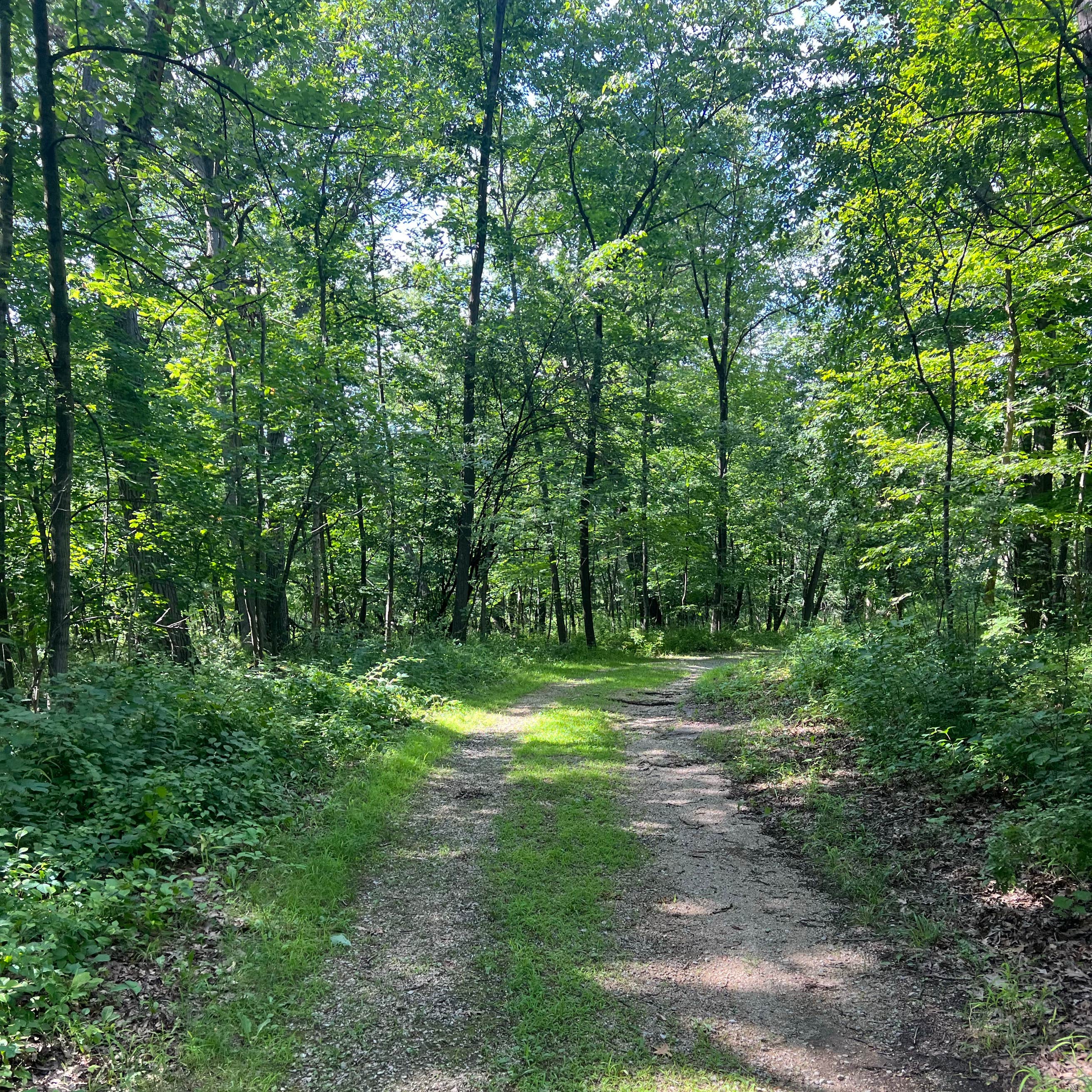 Camp Sullivan | Oak Forest, Illinois