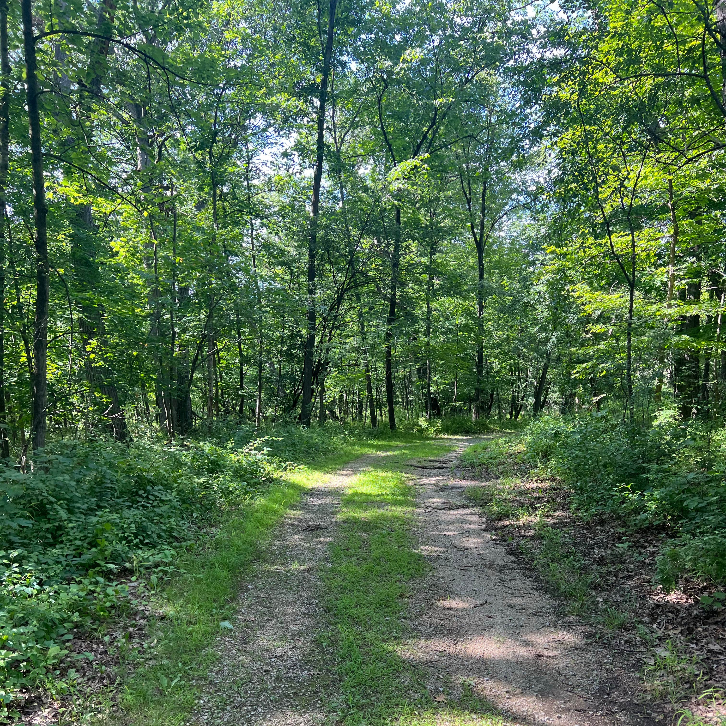 Camp Sullivan | Oak Forest, Illinois