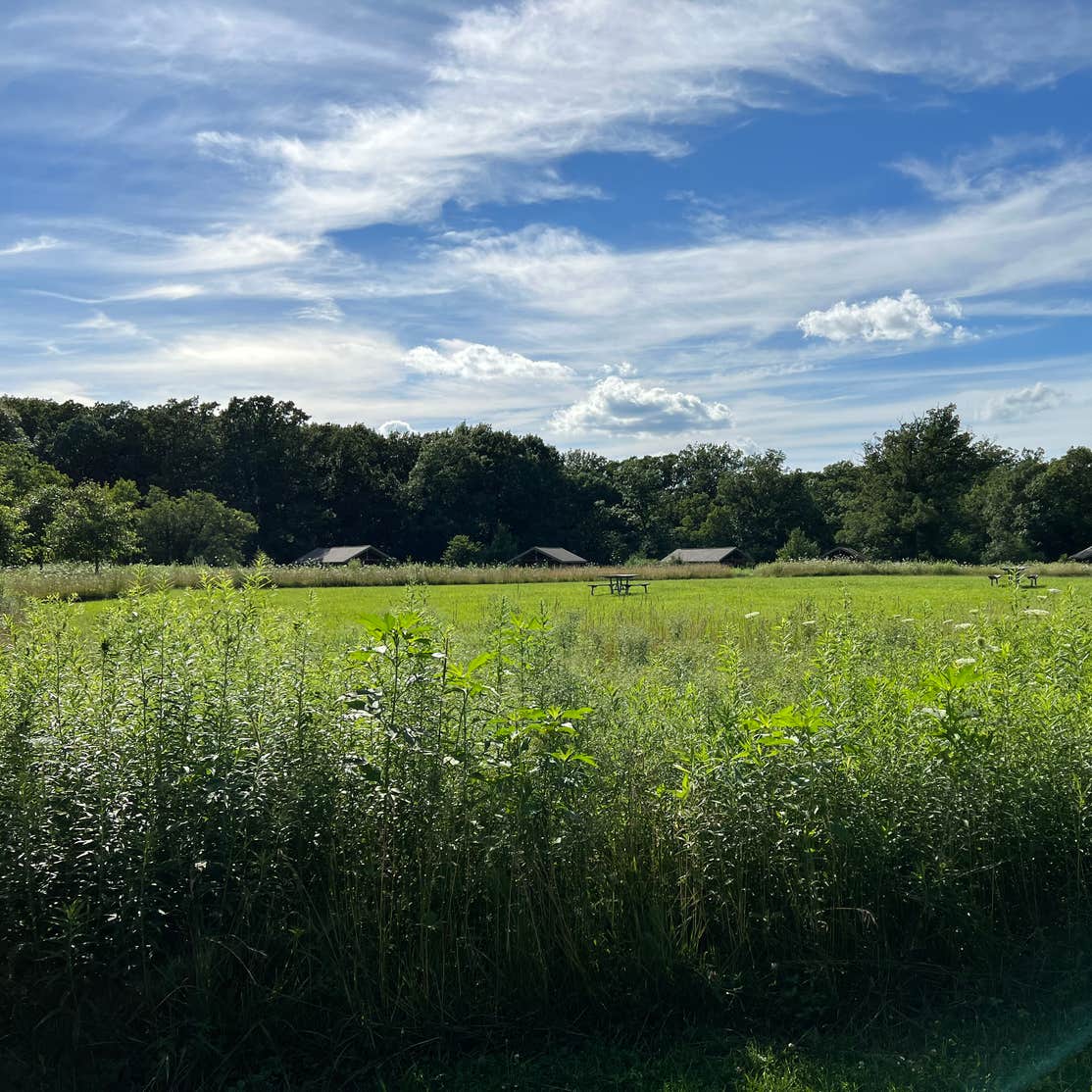 Camp Sullivan | Oak Forest, Illinois