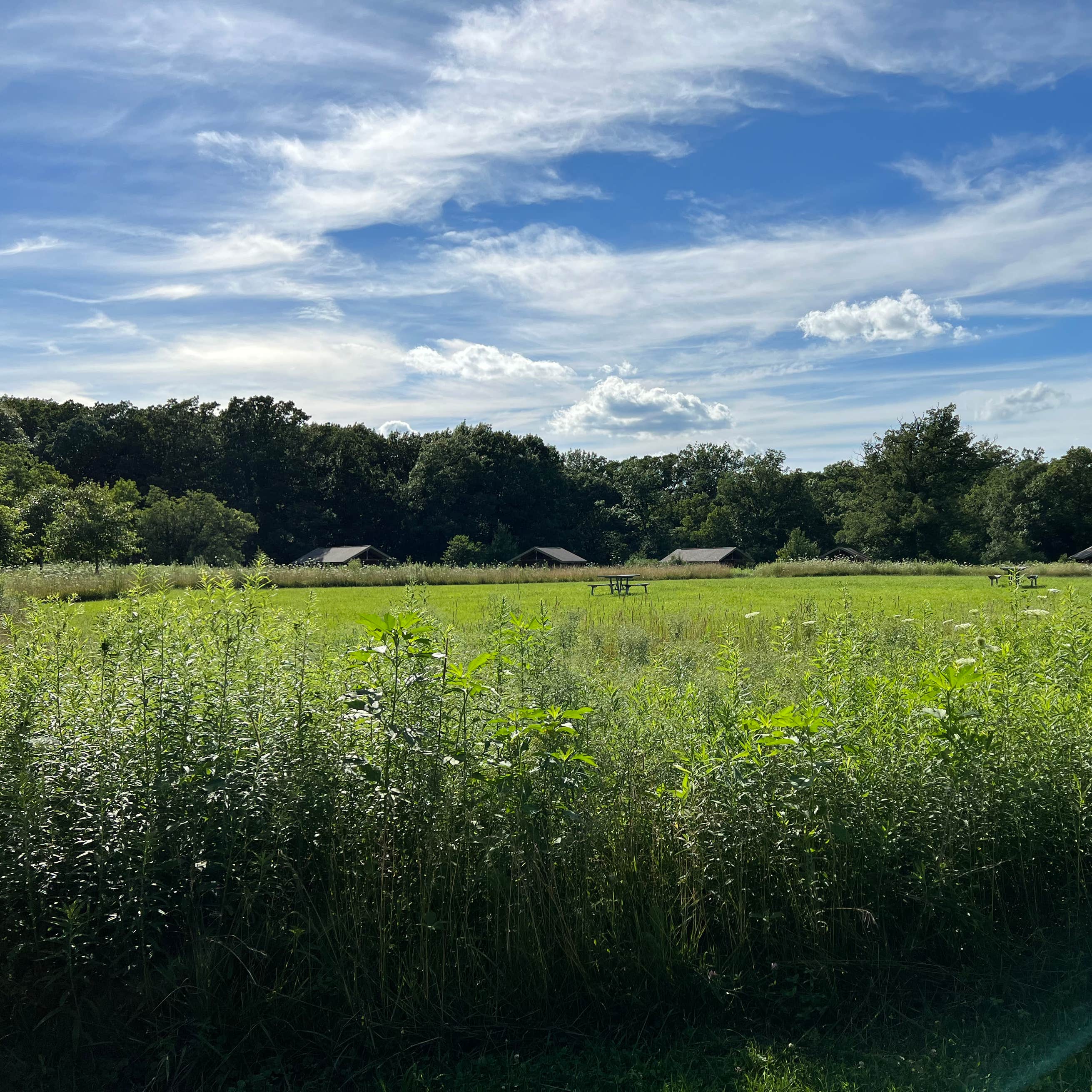 Camp Sullivan | Oak Forest, Illinois
