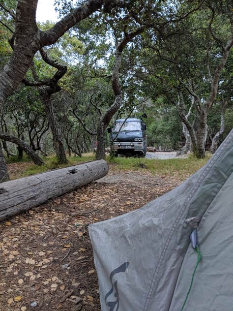Monterey Pines RV Park - Military Camping | The Dyrt