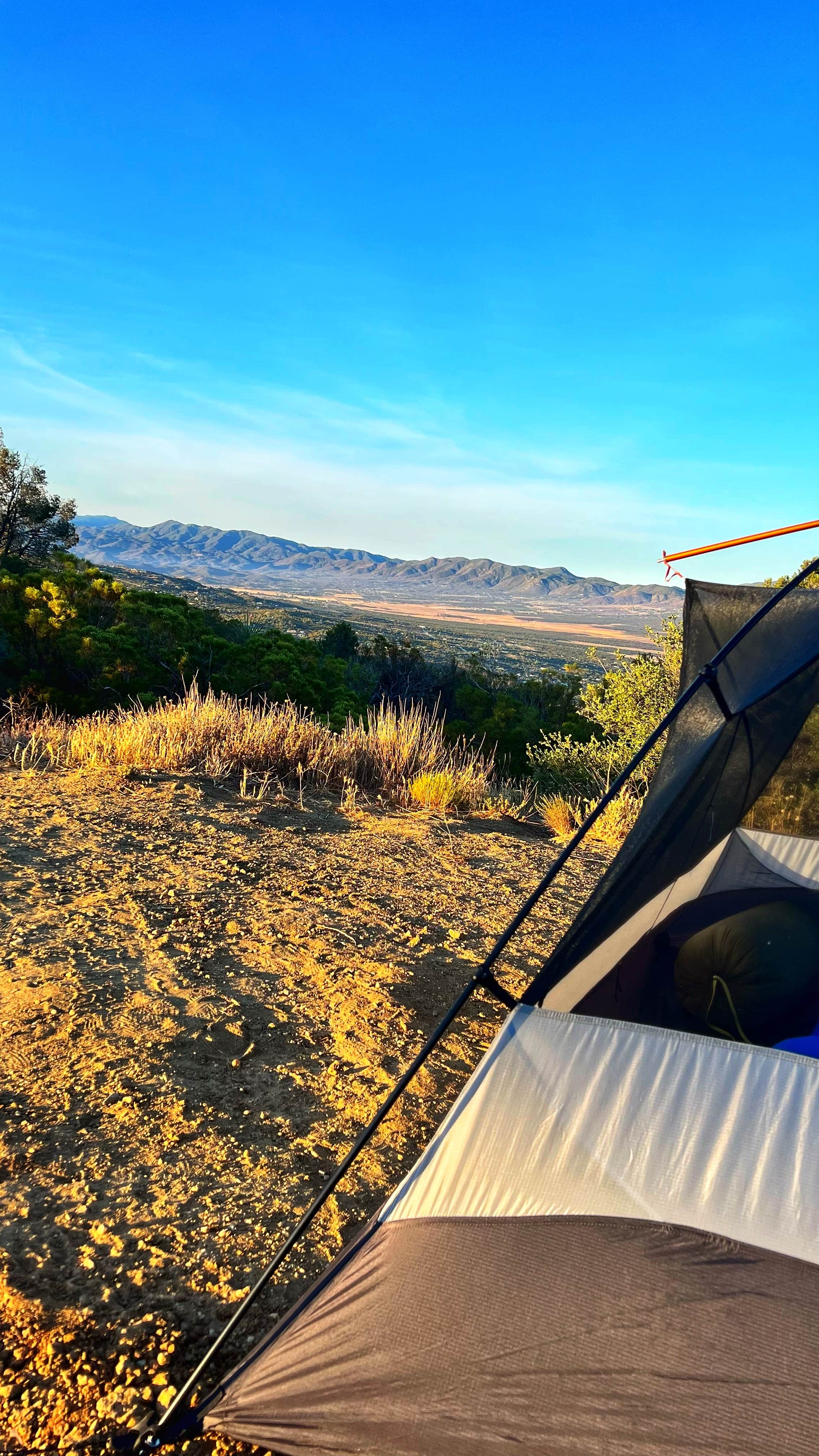 Tool Box Springs Campground | Mountain Center, CA