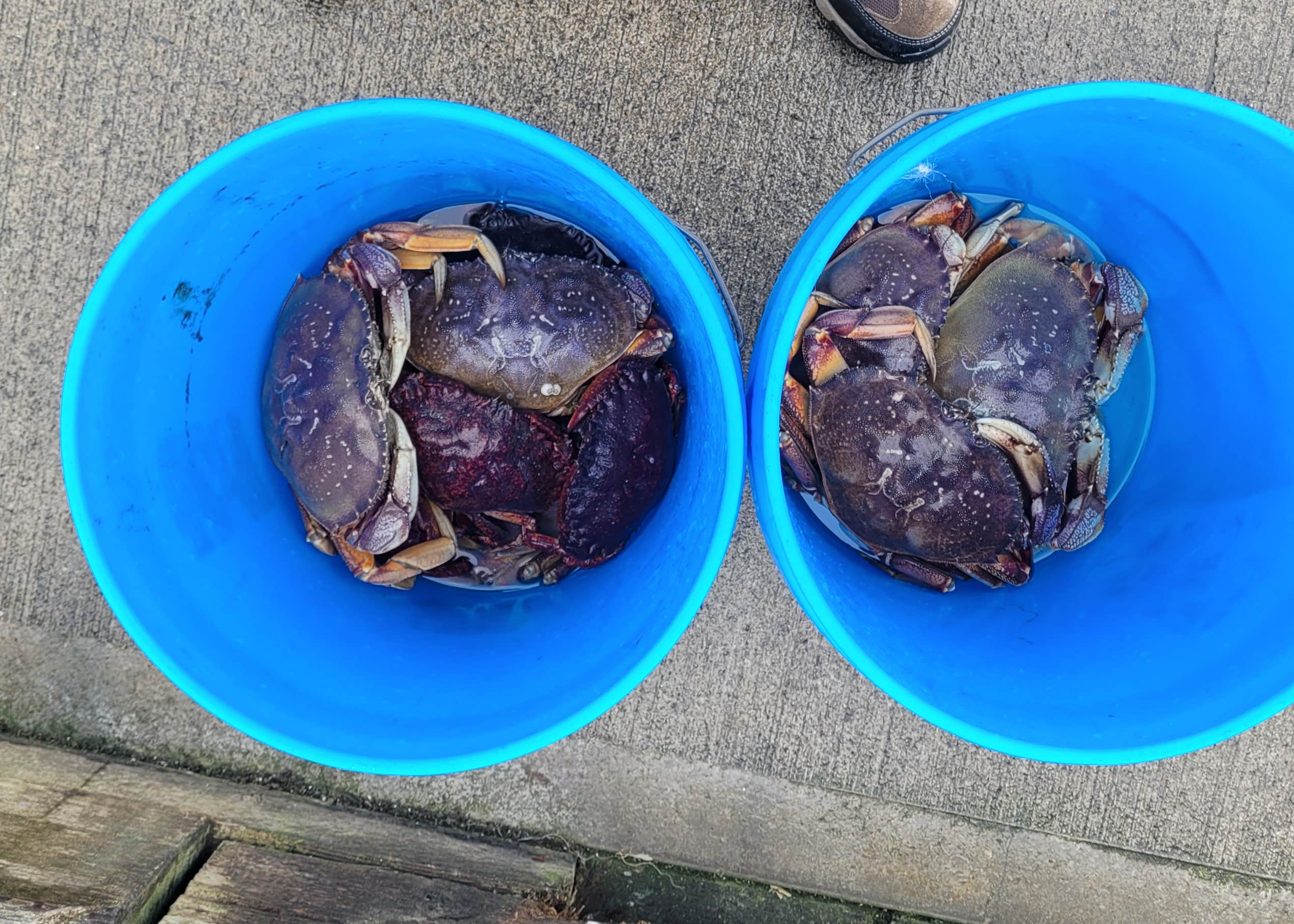 Oceanside RV Resort & Campground Camping | The Dyrt