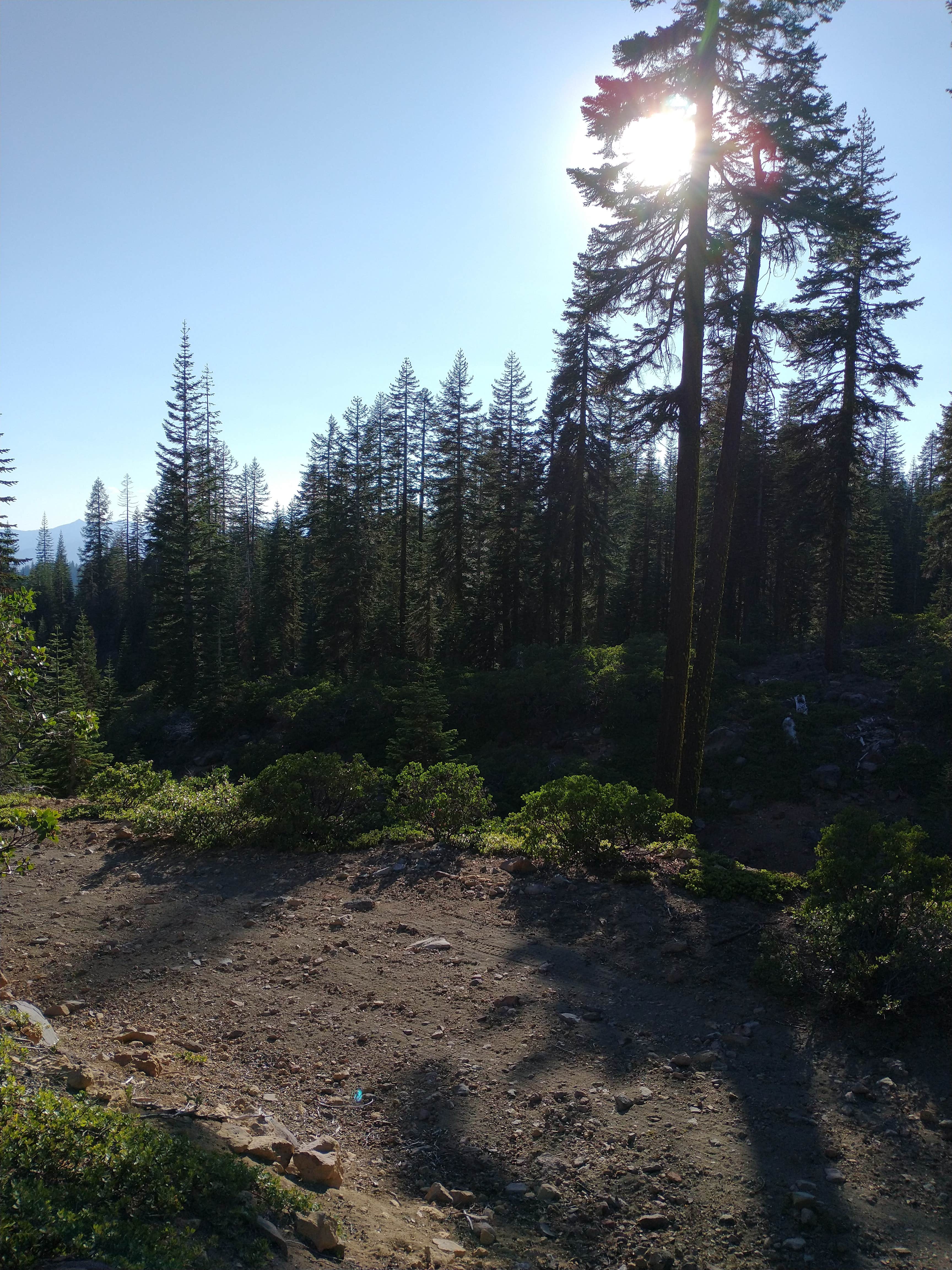 Bunny Flats Camp | Mount Shasta, OR