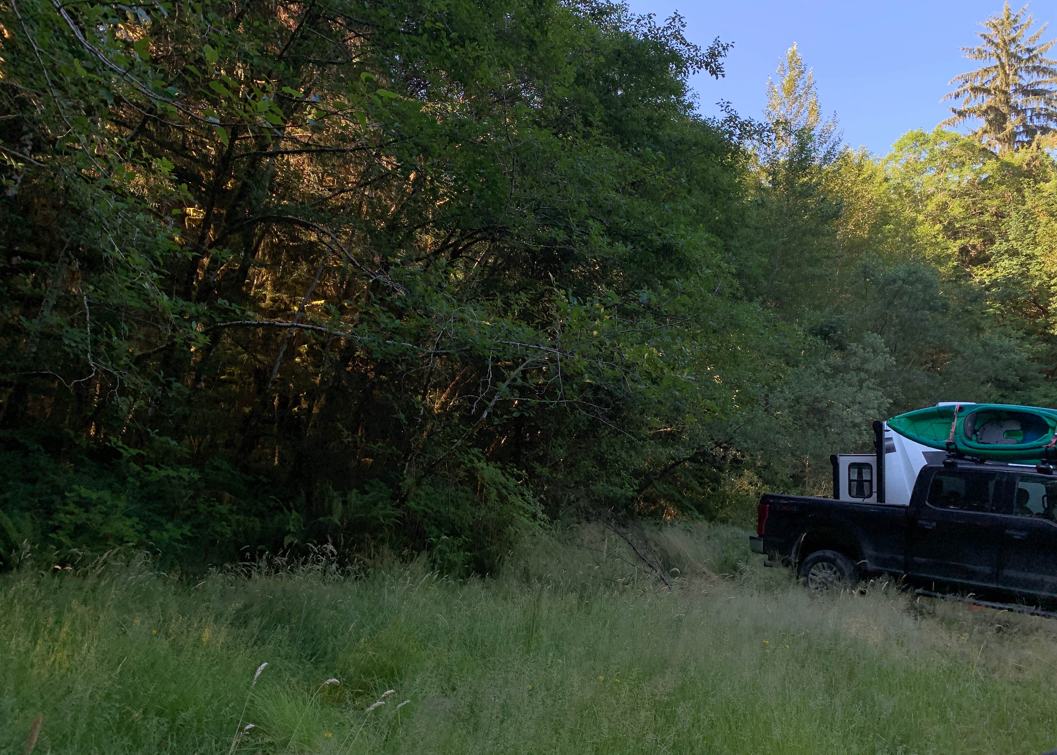 Forest Service Road 29 Dispersed Camping Loop Camping | The Dyrt