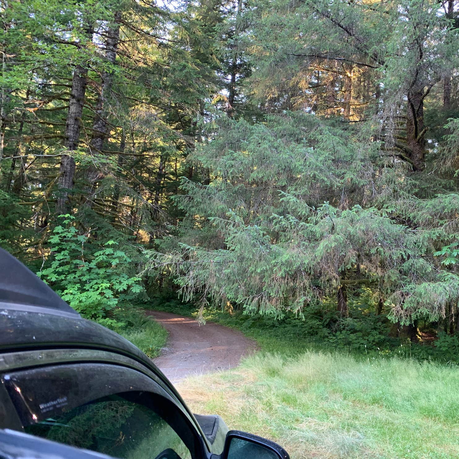 Forest Service Road 29 Dispersed Camping Loop Camping | The Dyrt