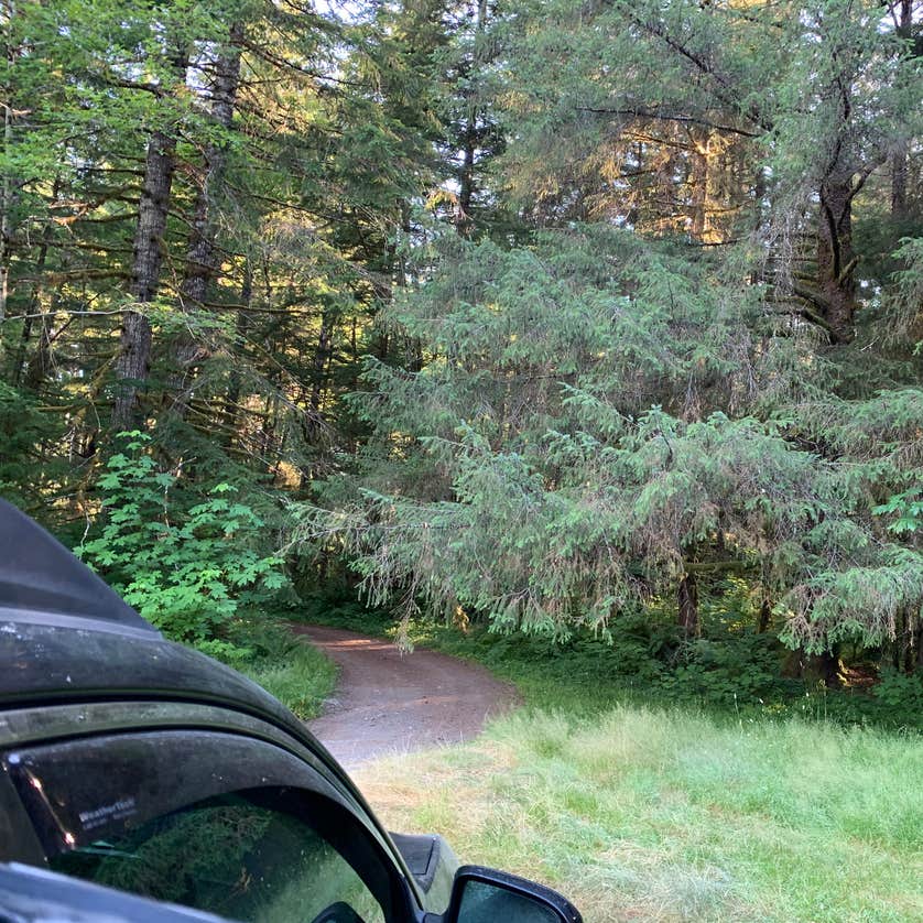 Forest Service Road 29 Dispersed Camping Loop Camping | The Dyrt