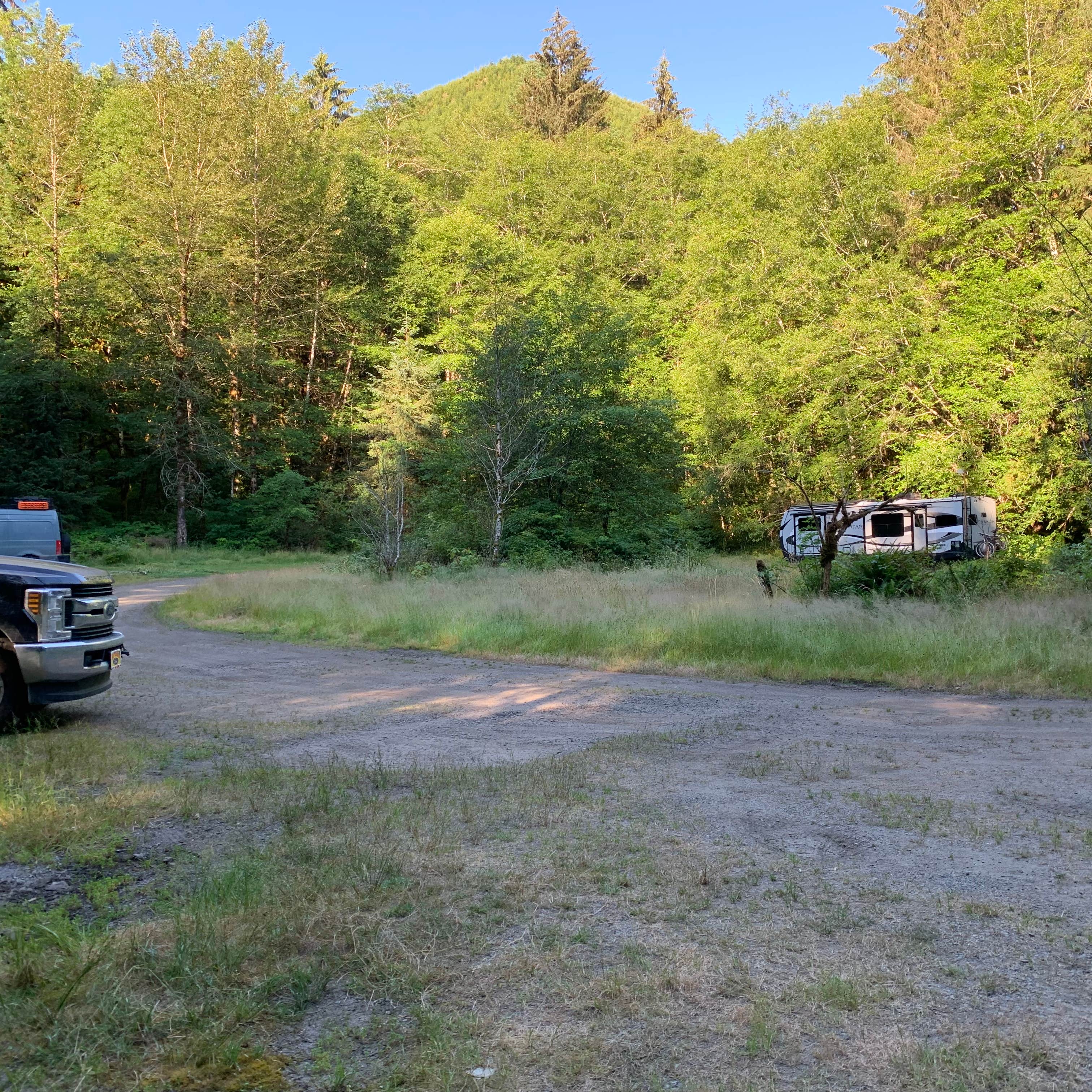 Forest Service Road 29 Dispersed Camping Loop | Beaver, Washington