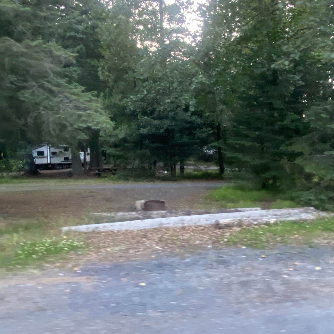 Forest Acre Campground | Seward, Alaska