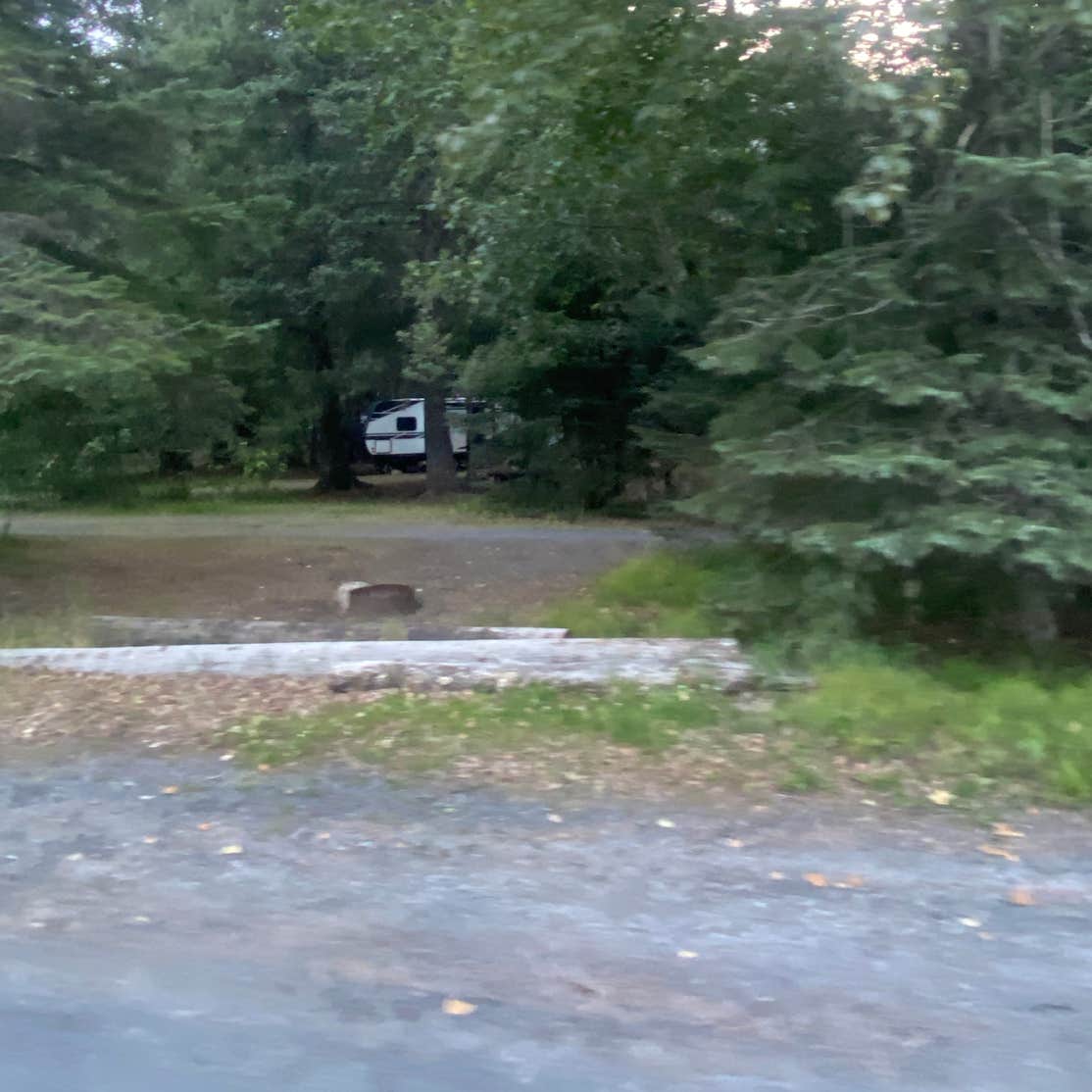 Forest Acre Campground | Seward, Alaska