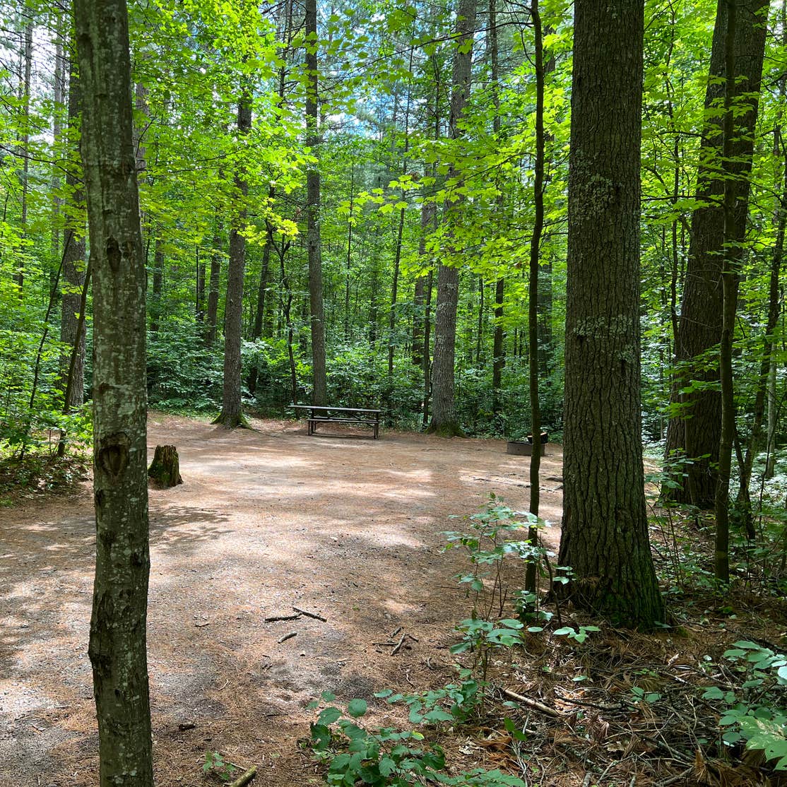 Northern Highlands American Legion State Forest - Firefly Lake Camping ...
