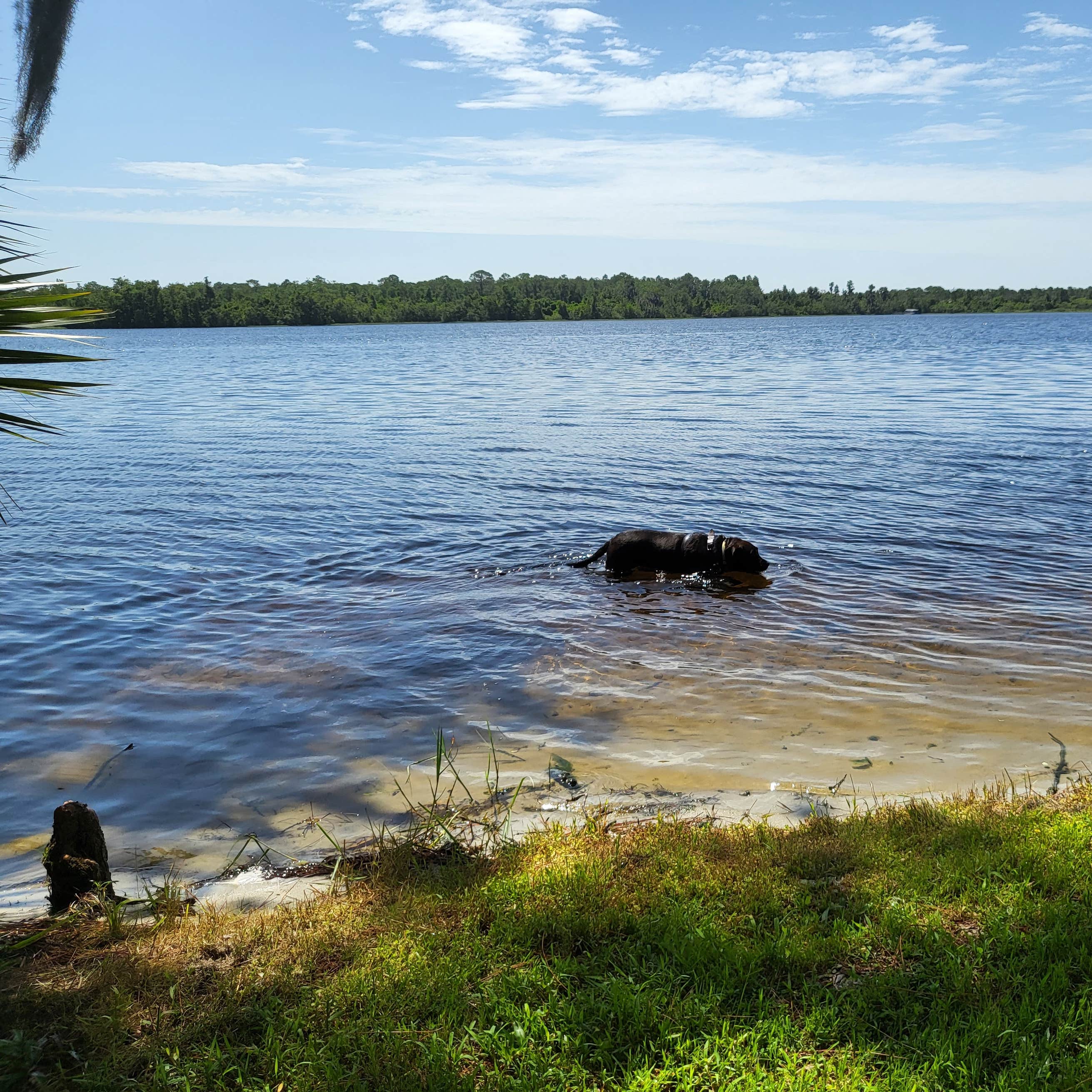 Encore Lake Magic Camping | Clermont, FL