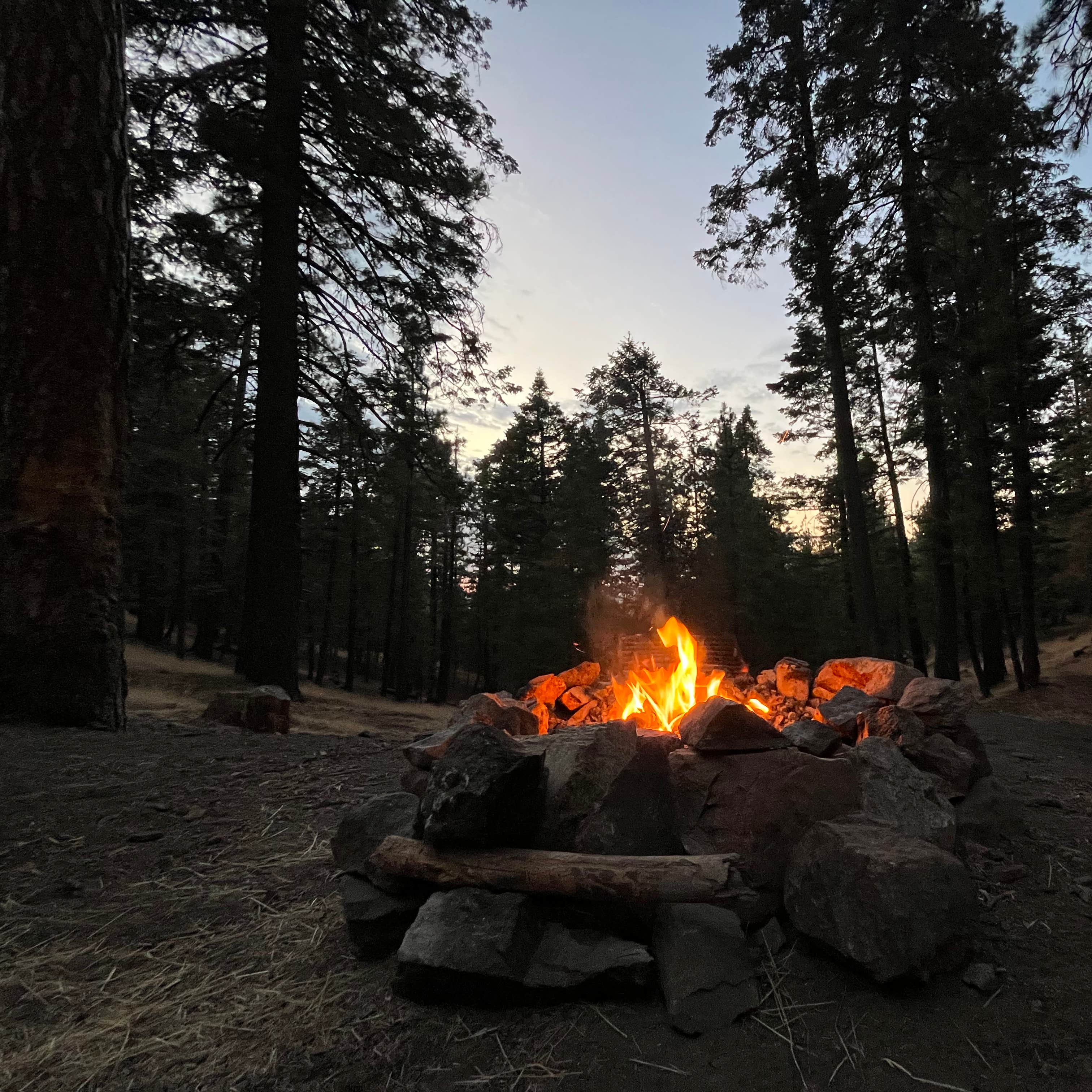 Tehachapi Mountain Park Camping | Tehachapi, CA