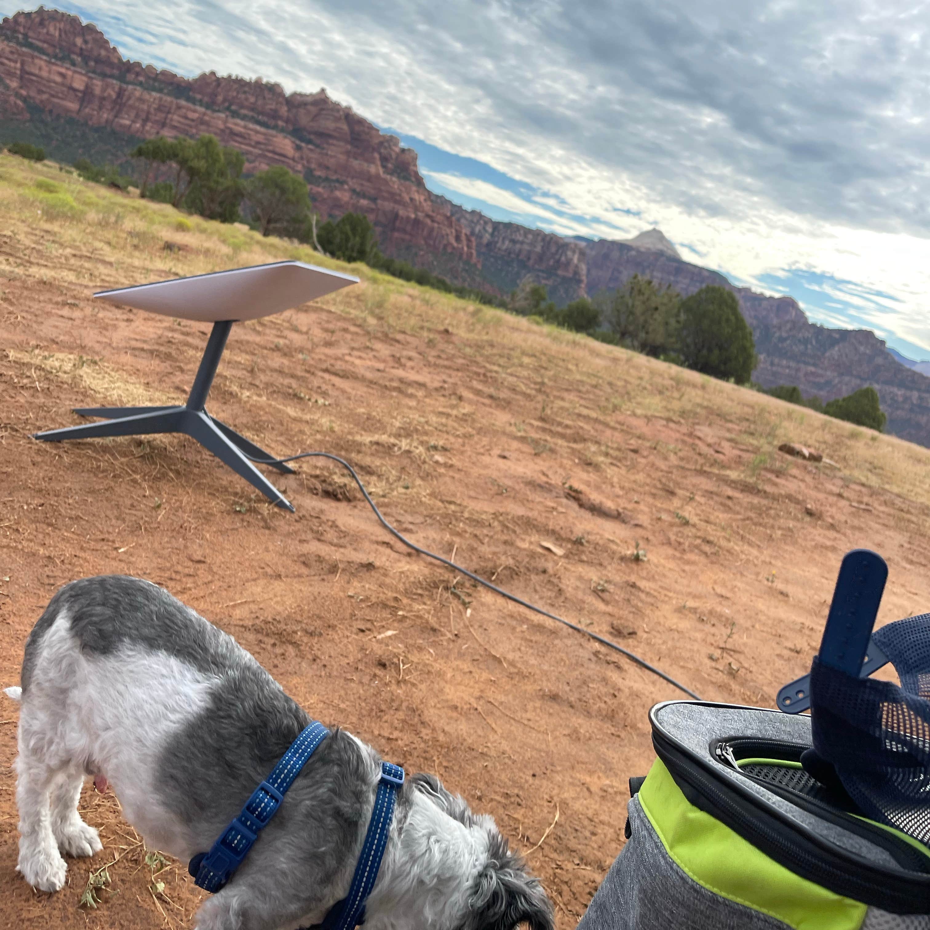 Zion Wright Family Ranch Camping | Virgin, Utah