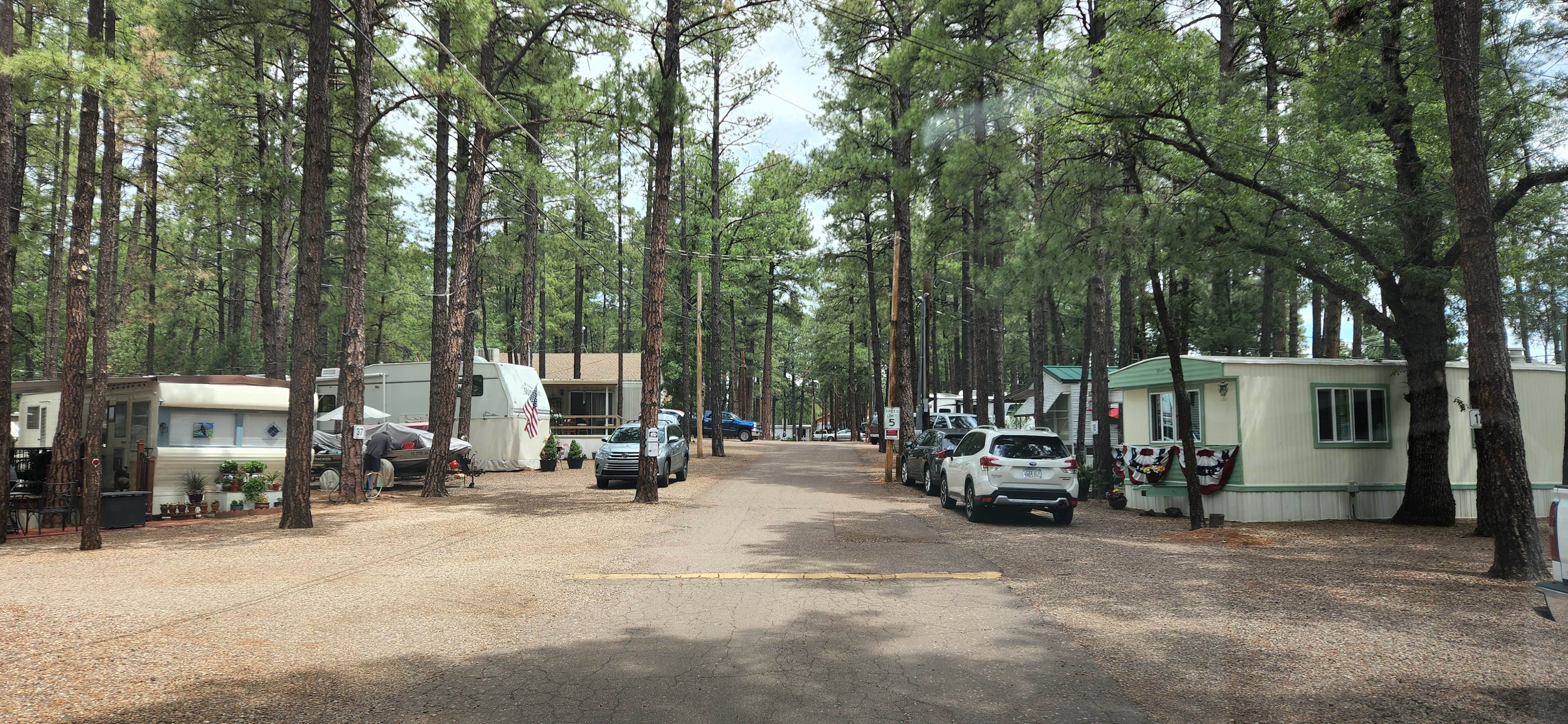 Ponderosa RV Resort | Lakeside, AZ